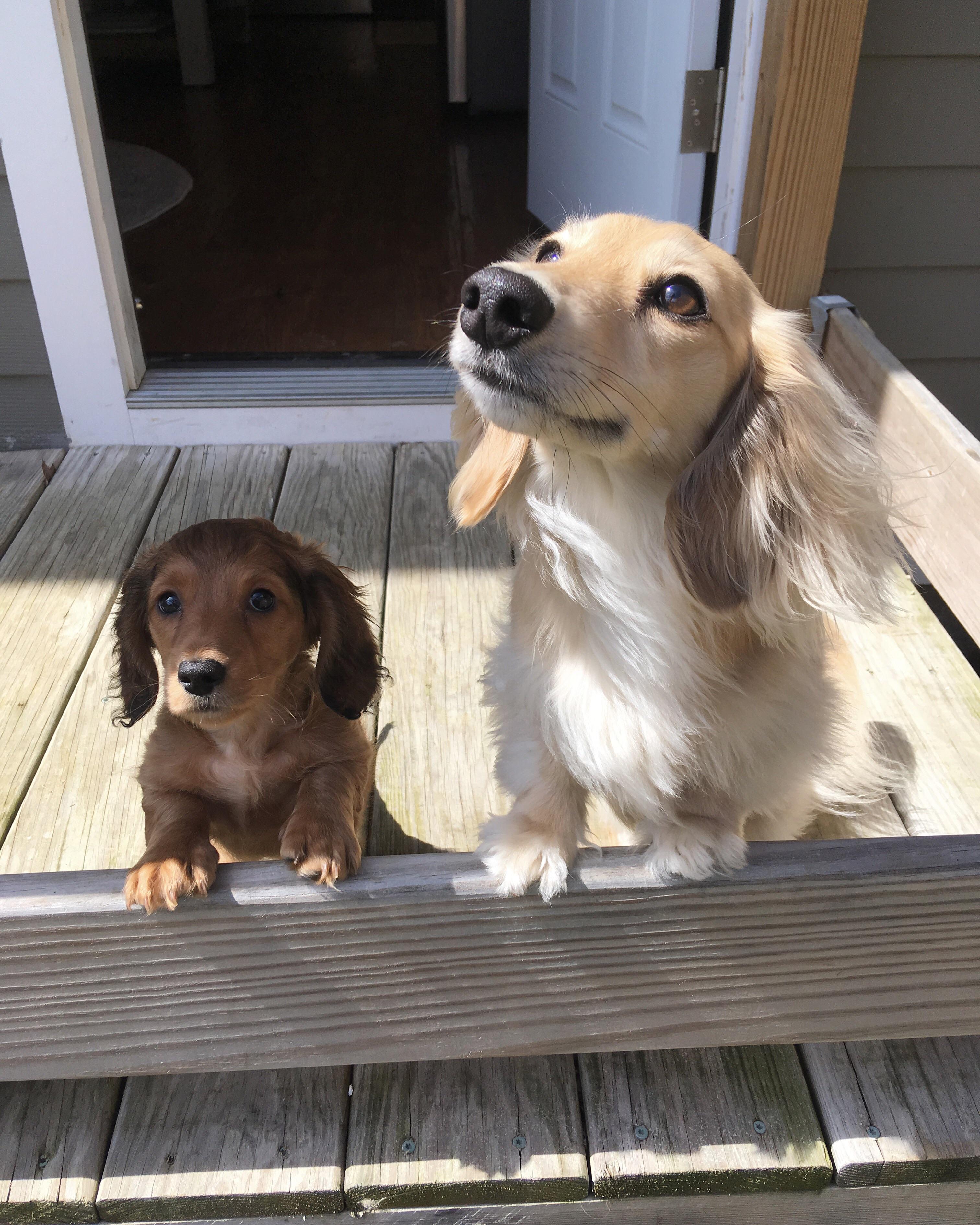 Little brother, big sister | Scrolller