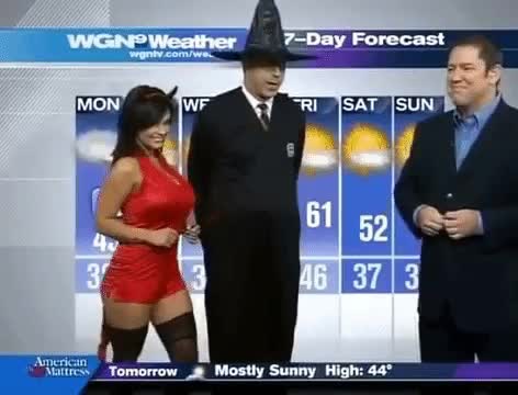 Little Devil | Scrolller