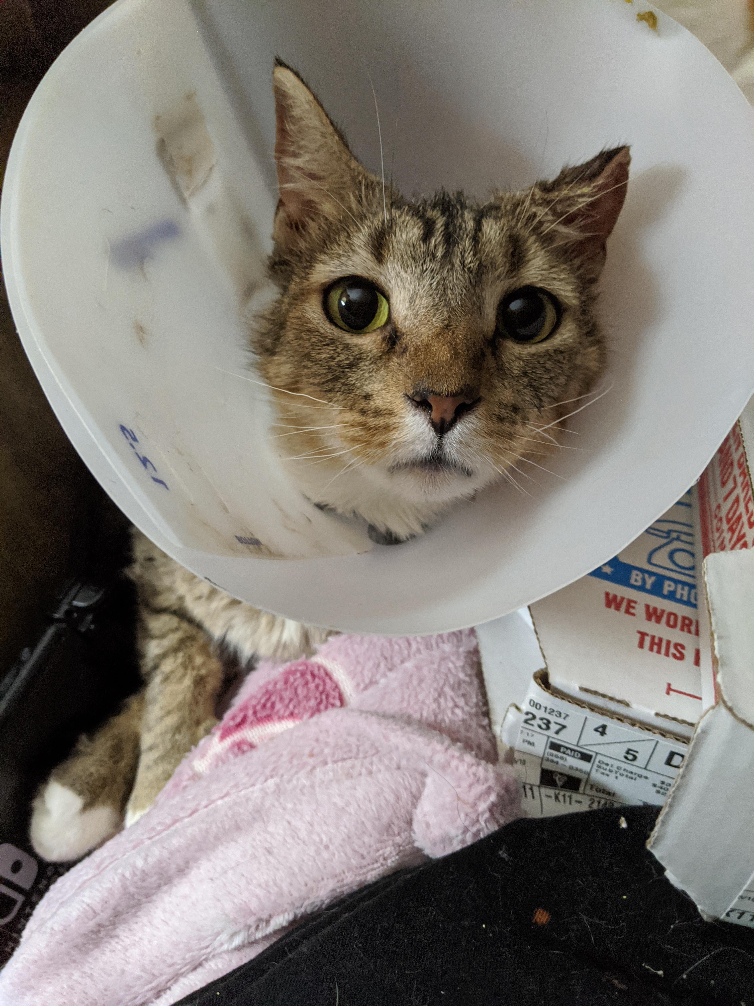 Little goober | Scrolller