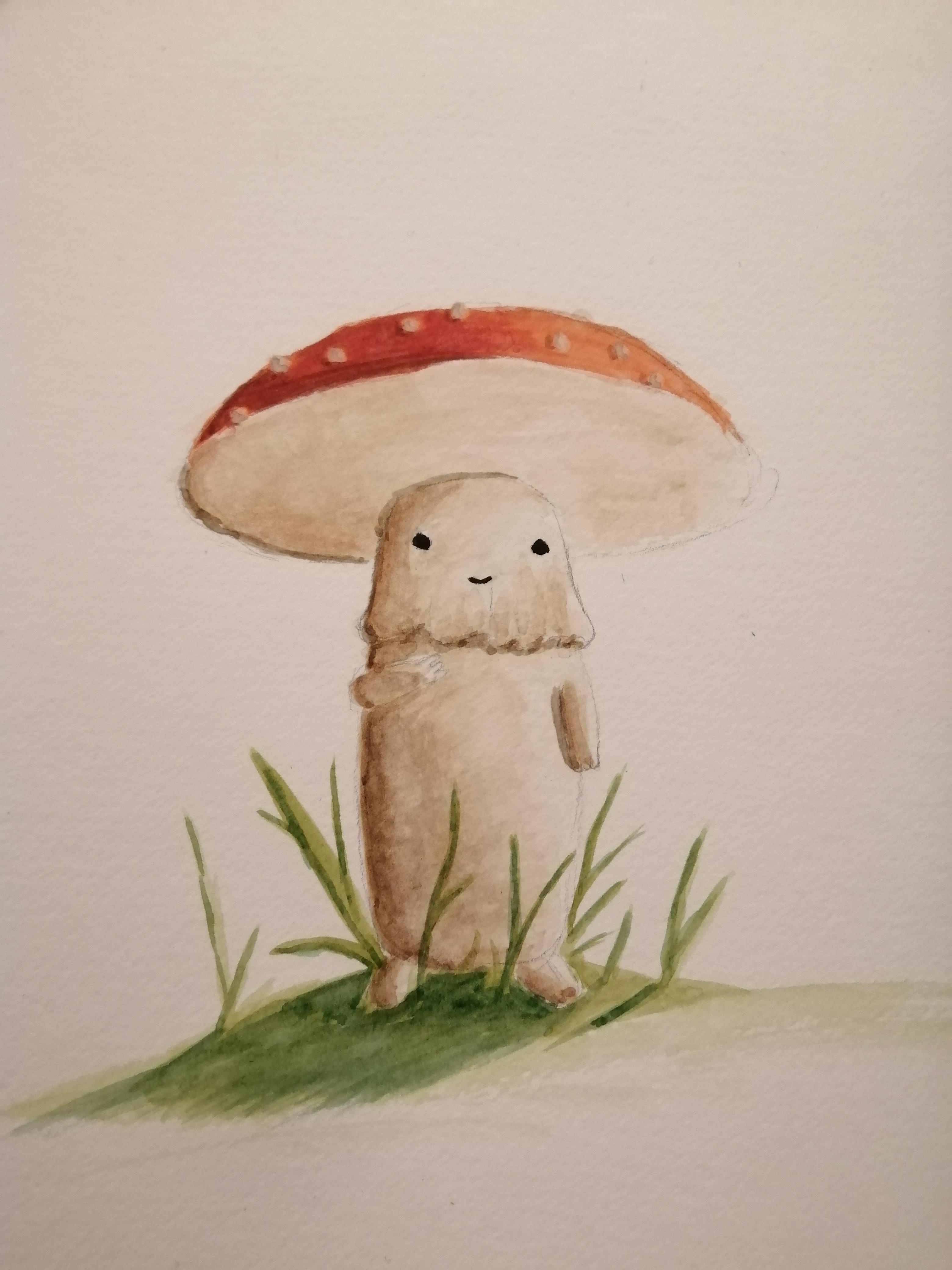 Little mushroom friend | Scrolller