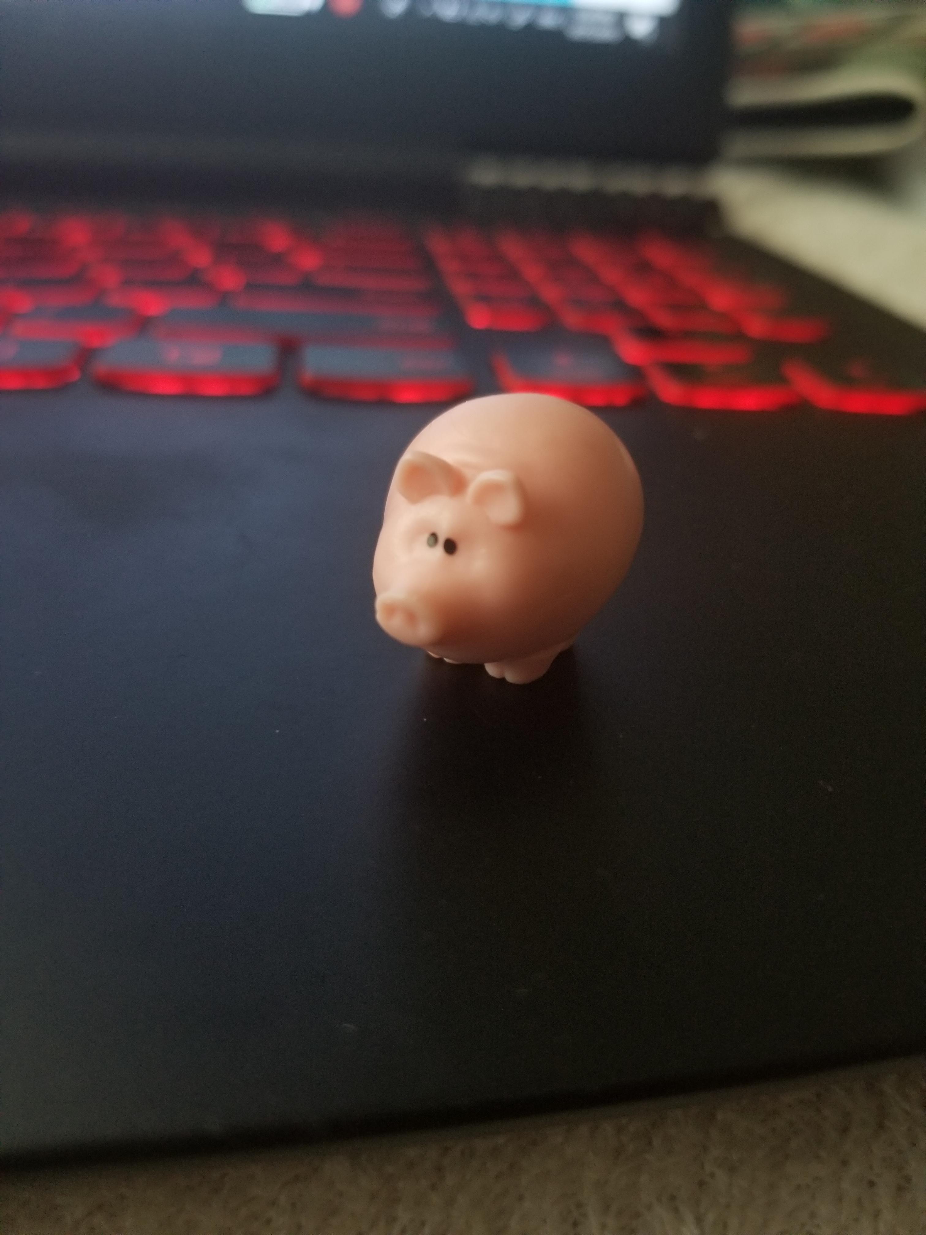 Little piggy | Scrolller