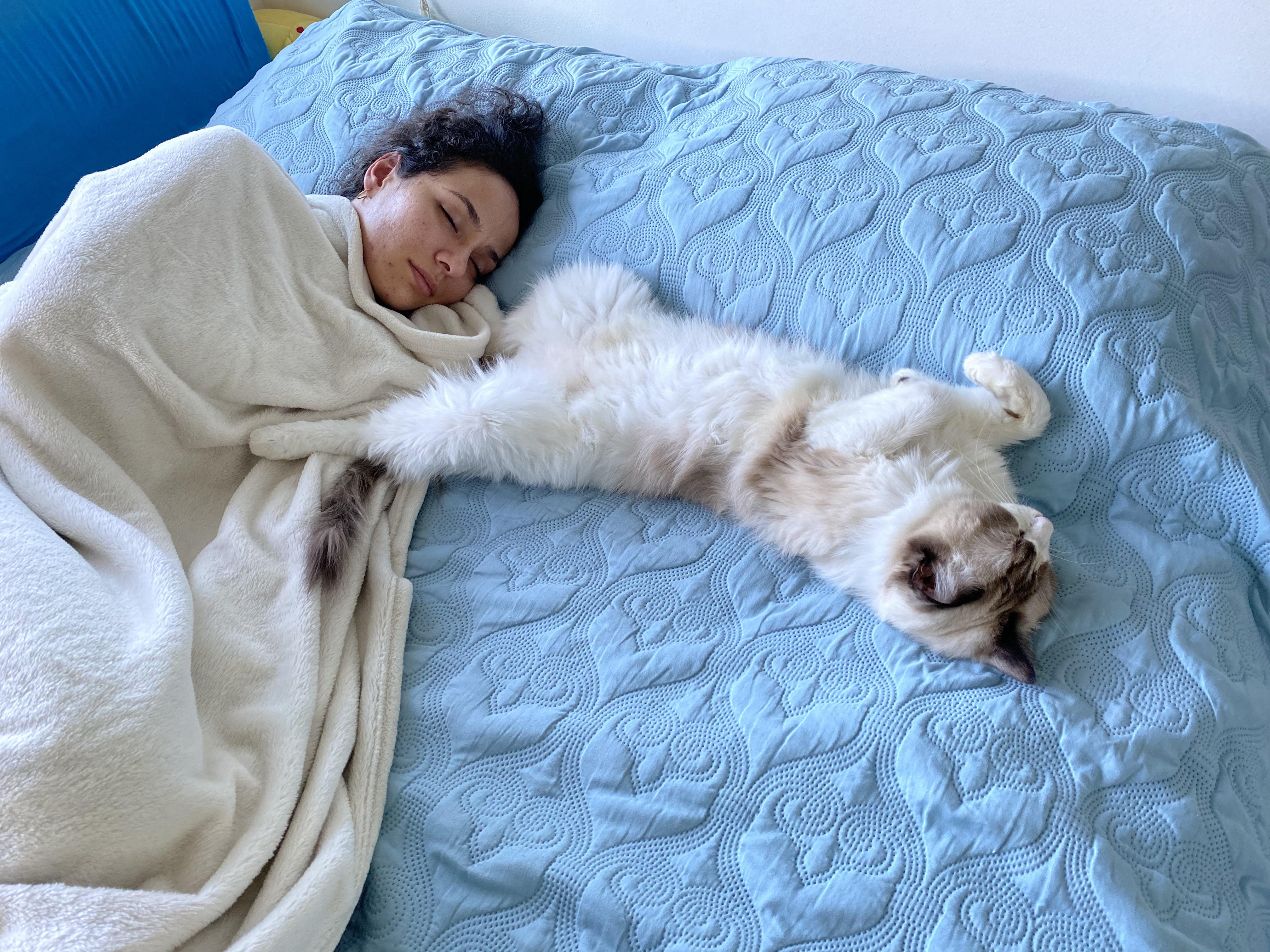 Little ragdoll 😍 | Scrolller