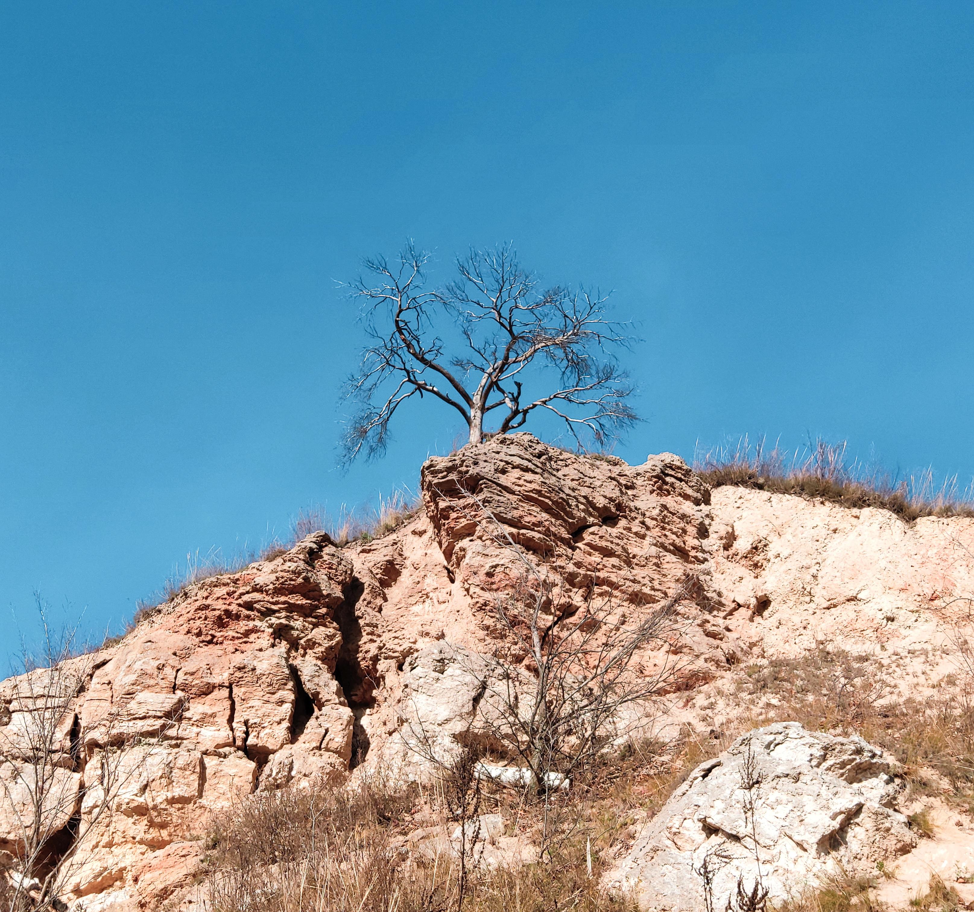 Lonely tree on the cliff. Republic of Bashkortostan, Russia [3230x3024] [OC] | Scrolller