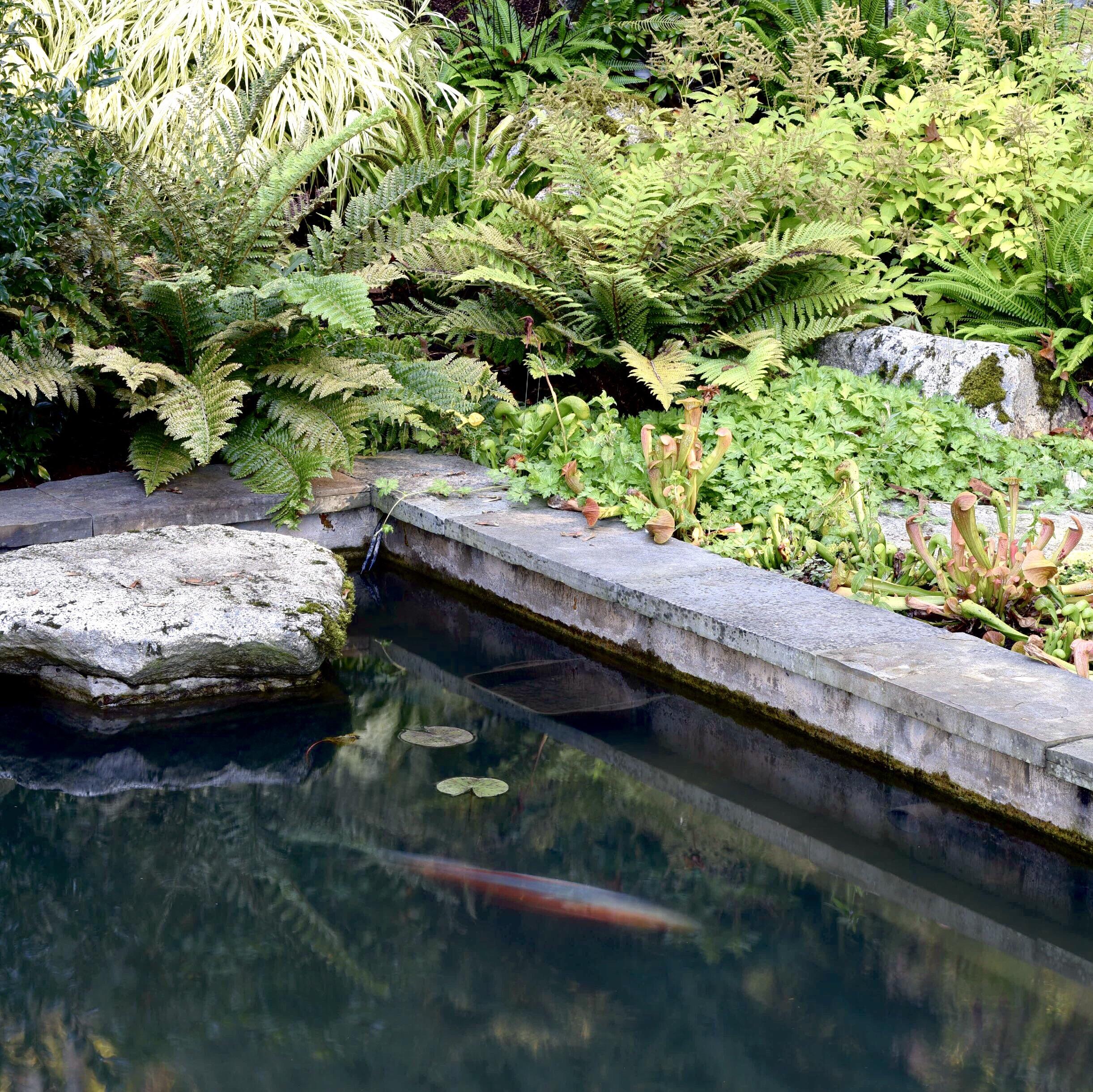 Long exposure, not long koi | Scrolller