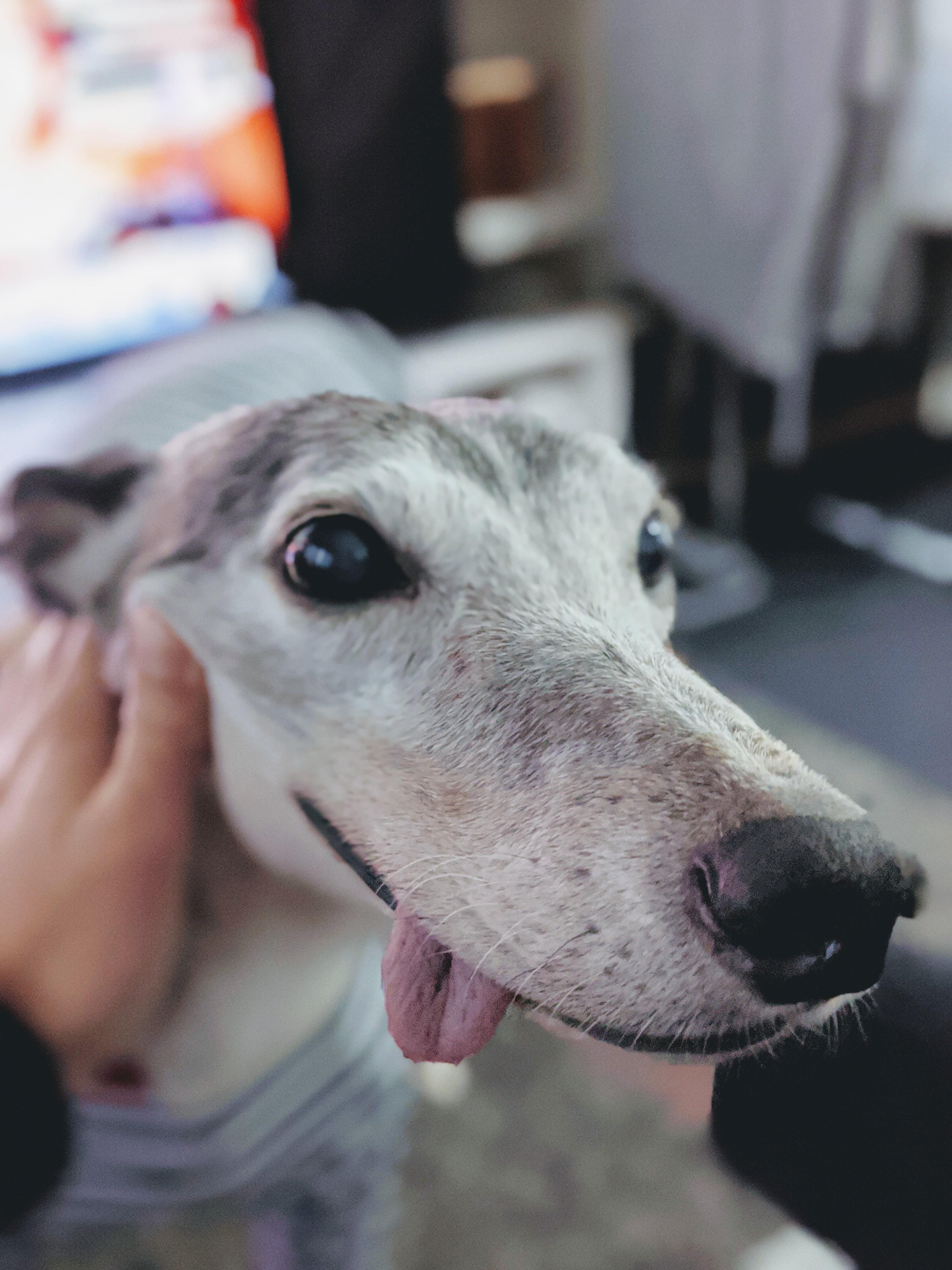 Look at that derpy smile | Scrolller