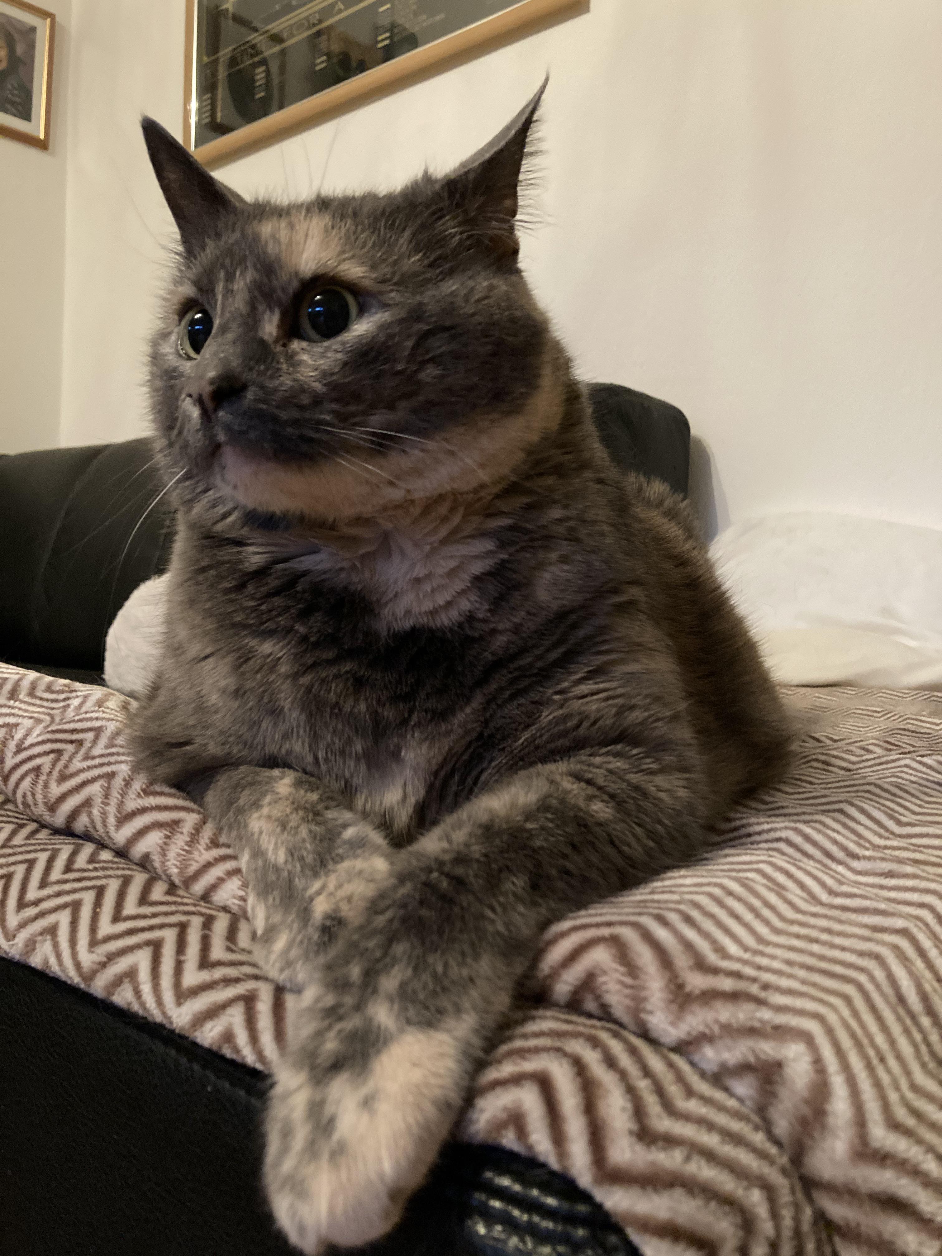 Look at that distinguished lady | Scrolller