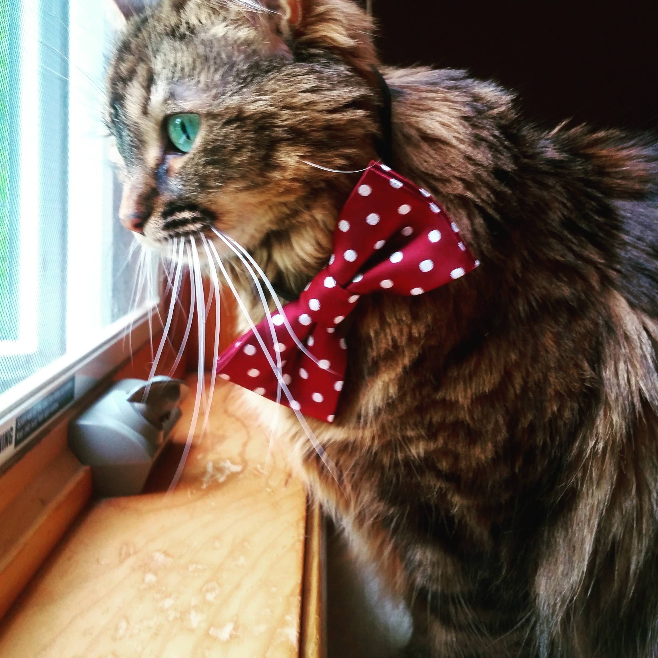 Looking forward to a bright future | Scrolller