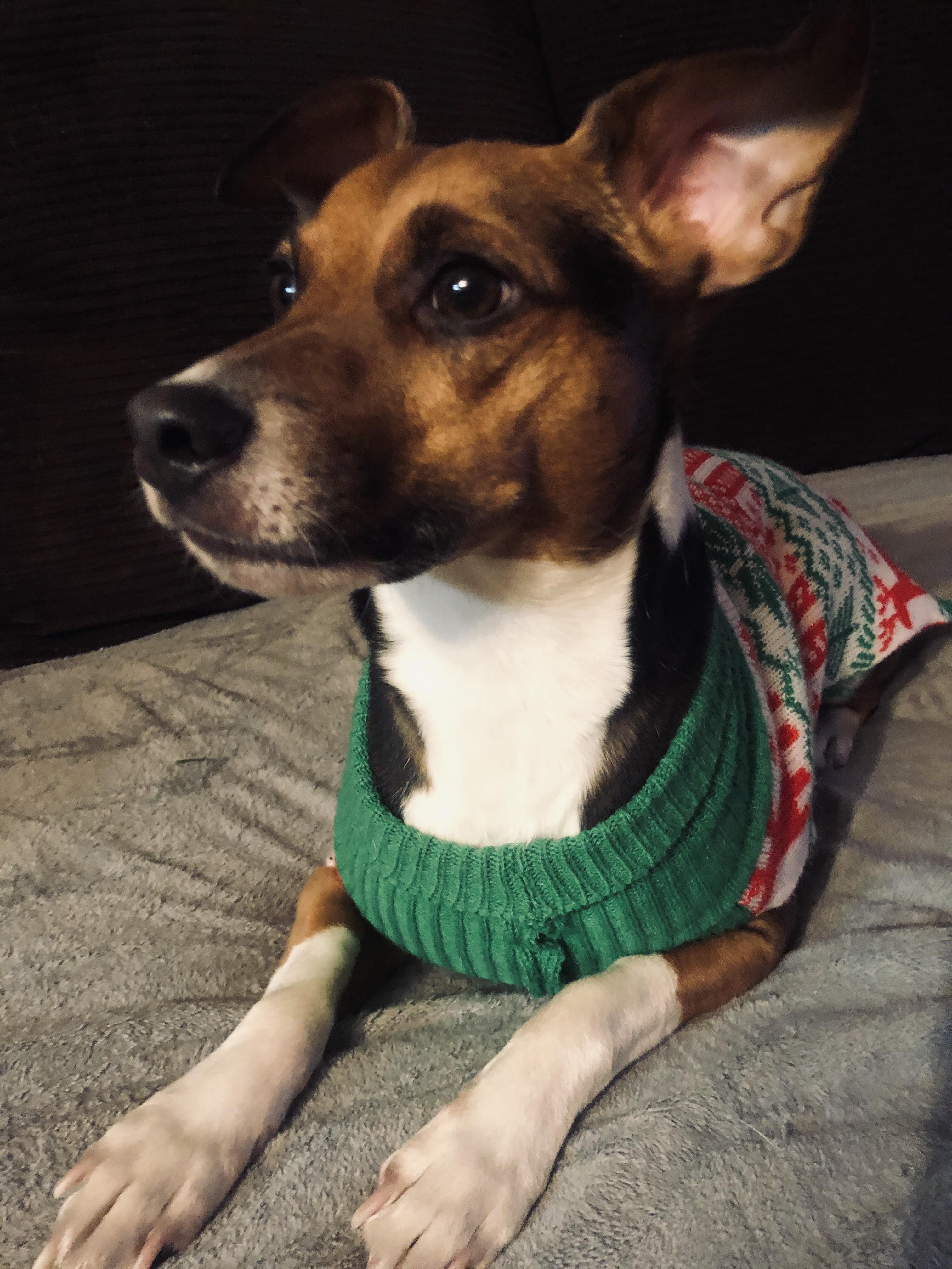 Looking pretty handsome | Scrolller