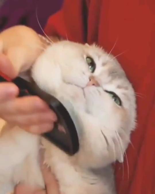 Looking so relaxed | Scrolller