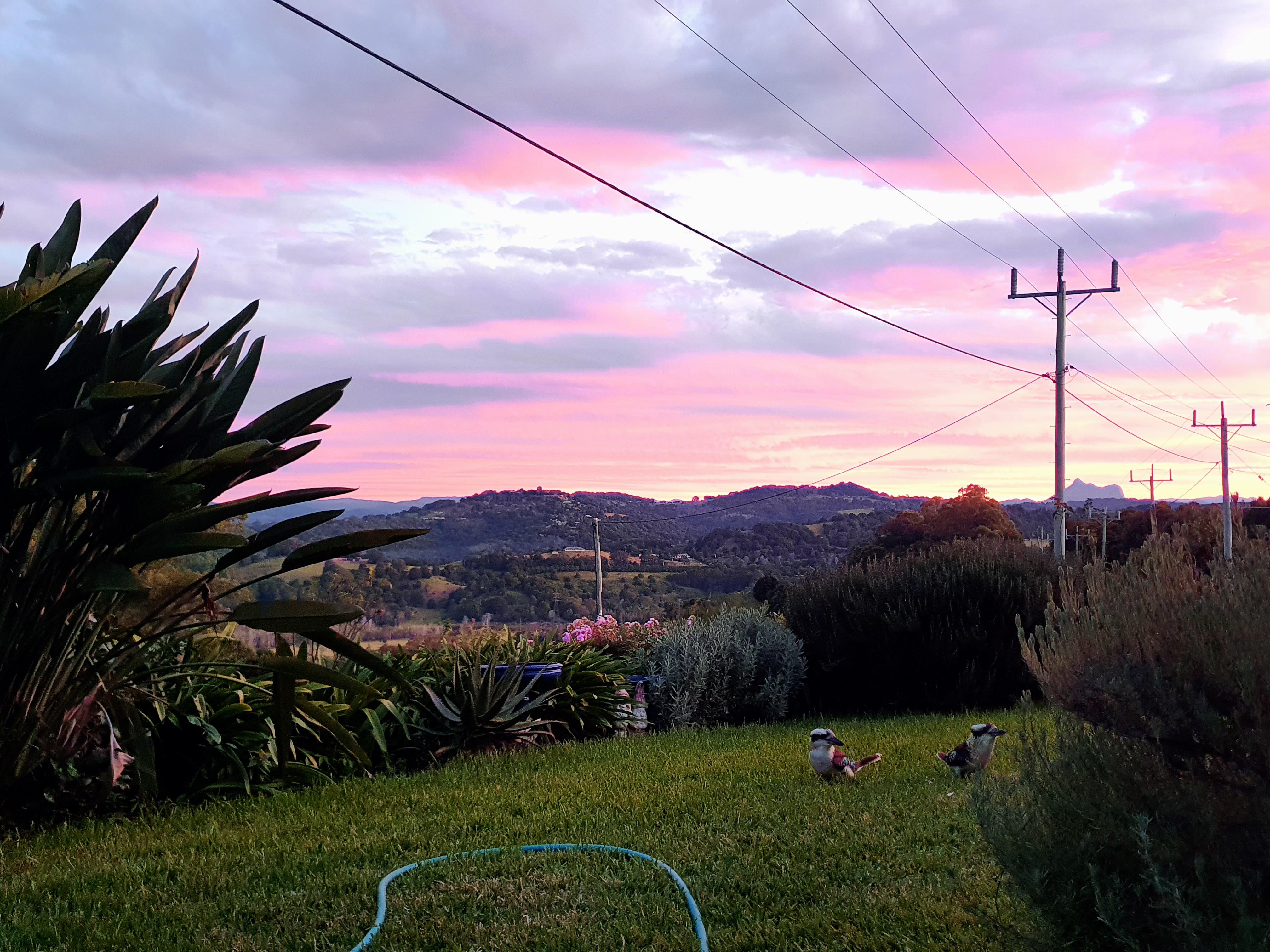 Love a good sunset! | Scrolller