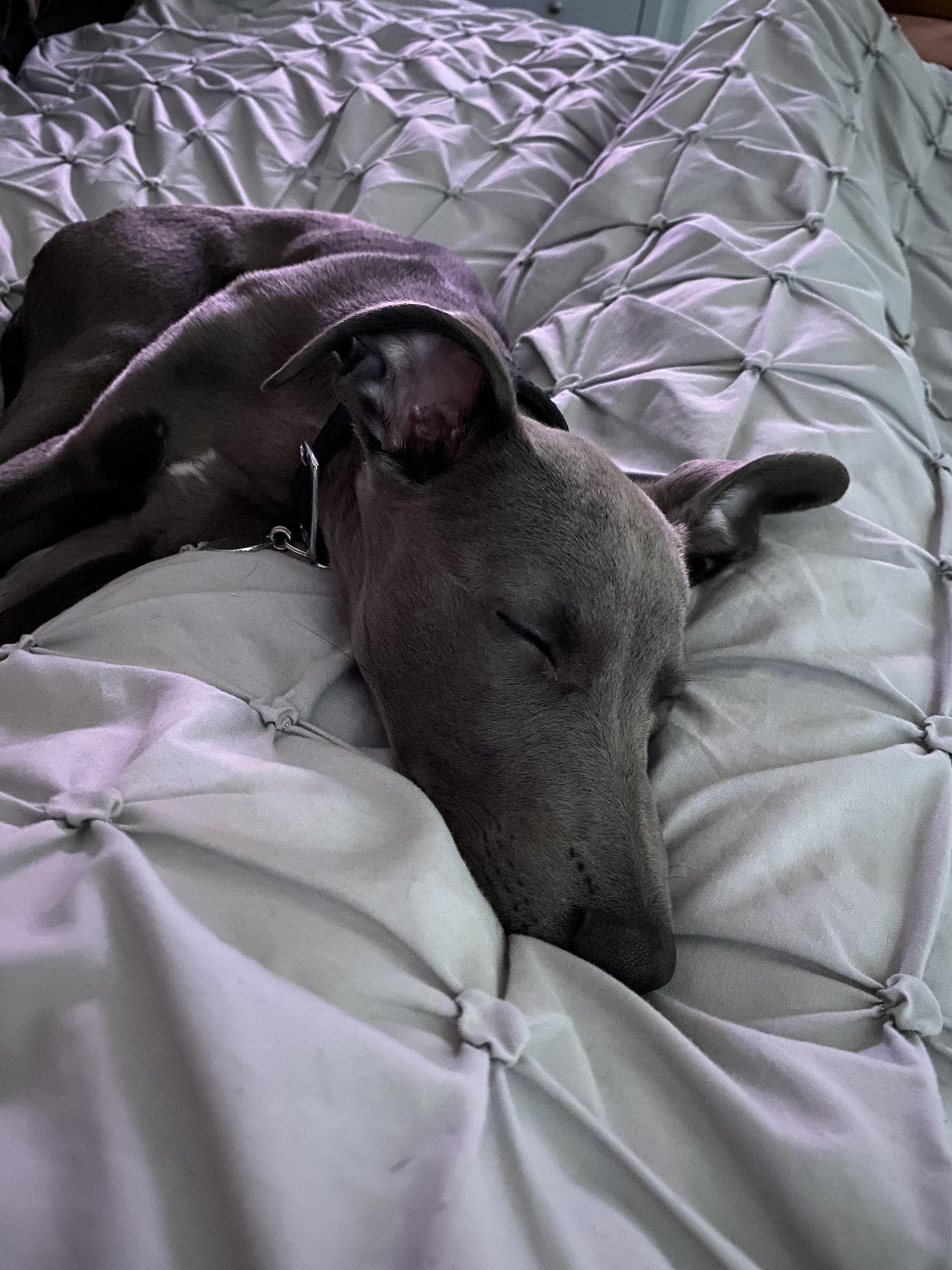 Love a Saturday morning lie in 💕 | Scrolller