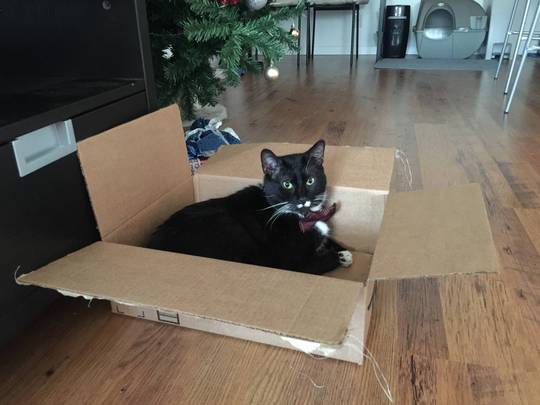 Love Prime delivery! | Scrolller