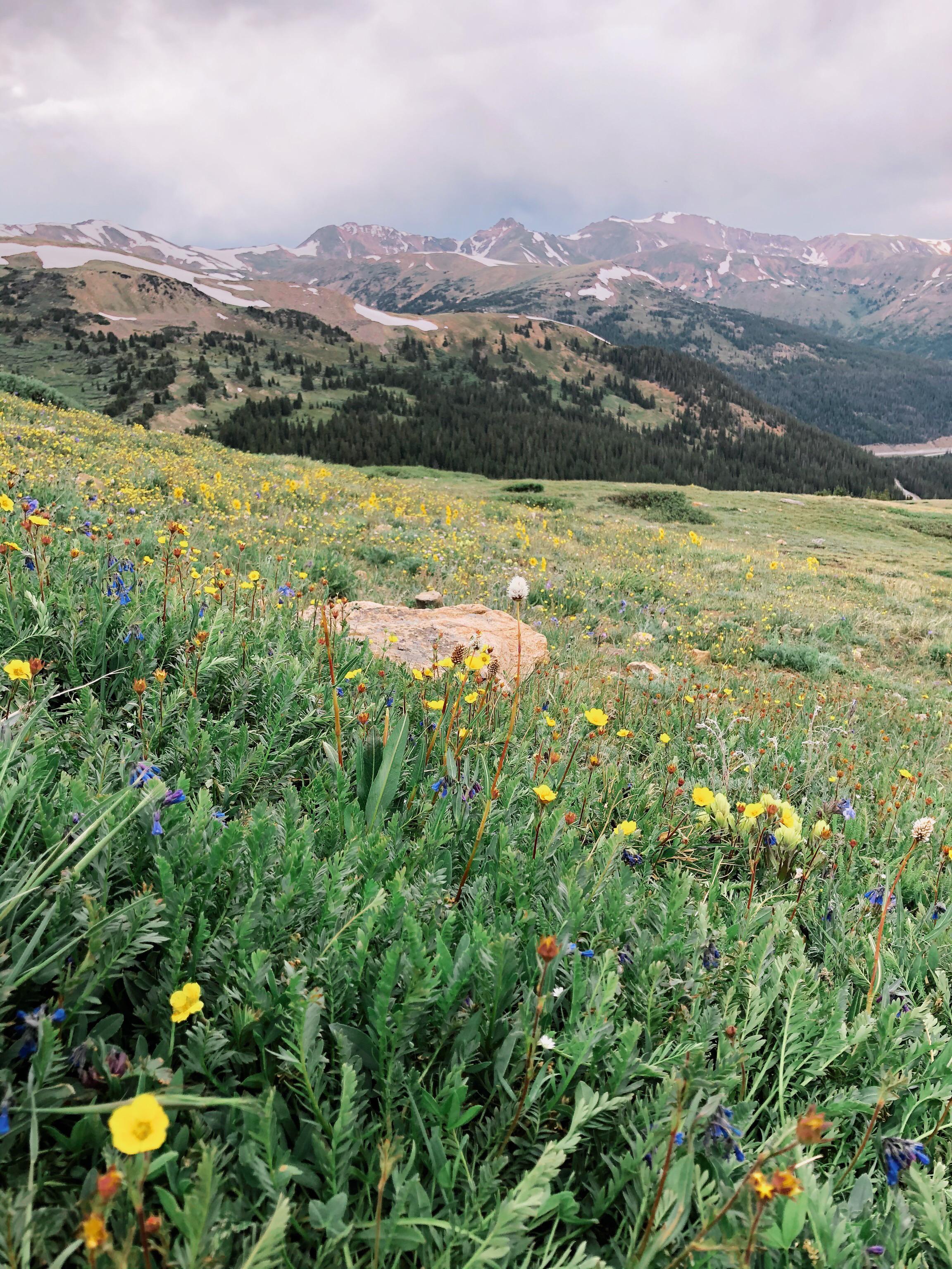 Loveland Pass - Continental Divide (probably the best photo I’ve ever taken) | Scrolller