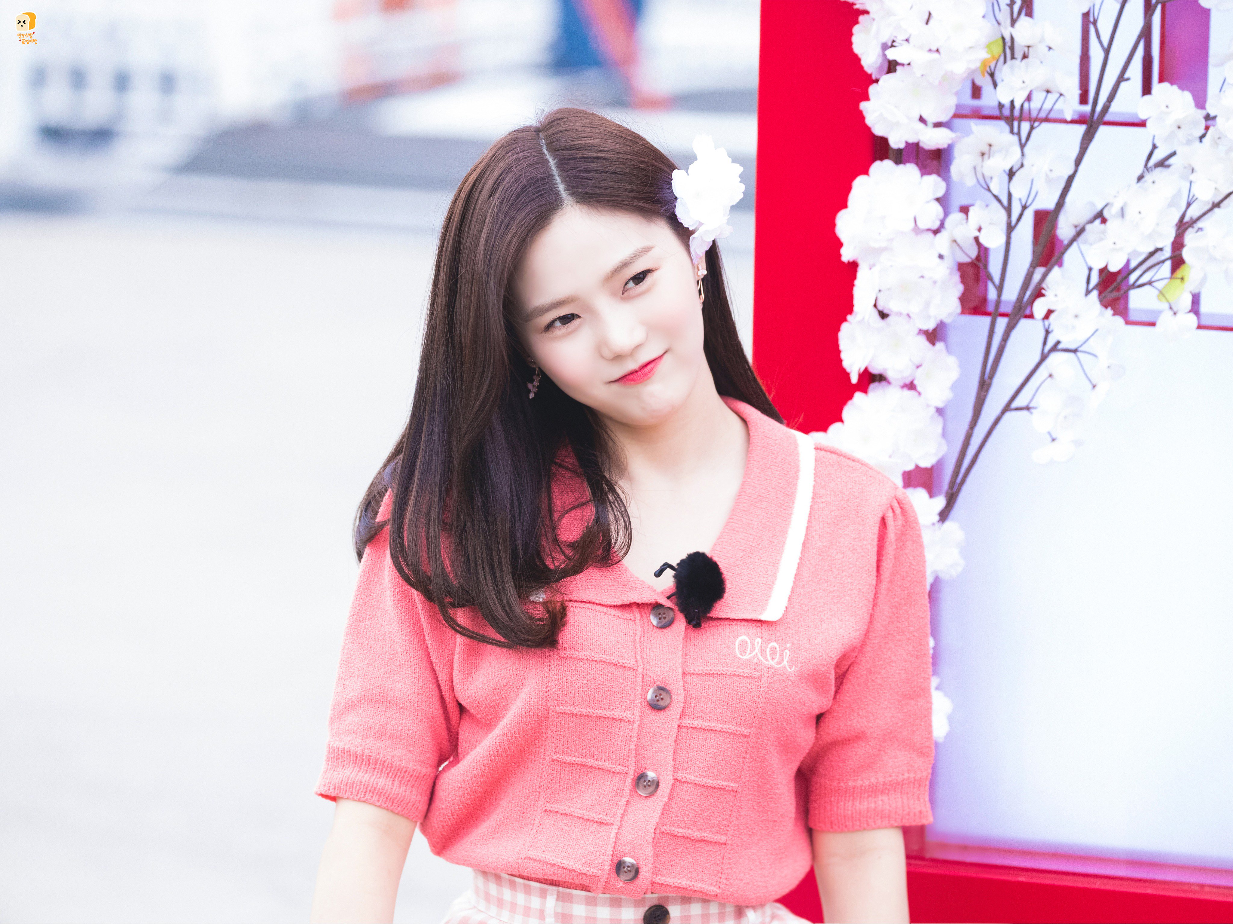 Lovely Leader-nim | Scrolller