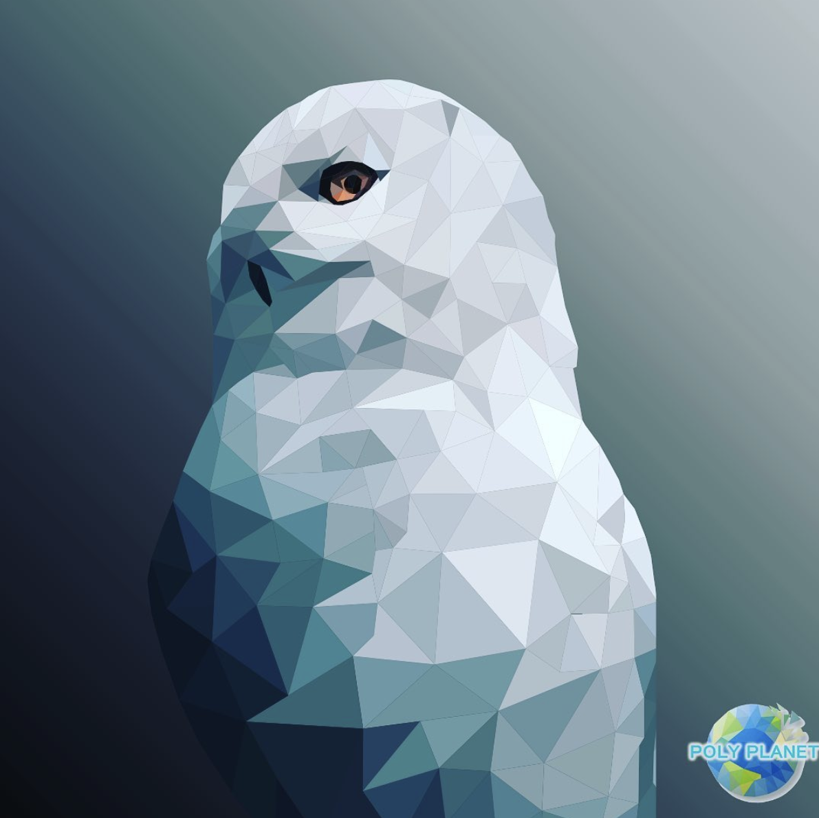 Low-Poly Owl Drawing | Scrolller