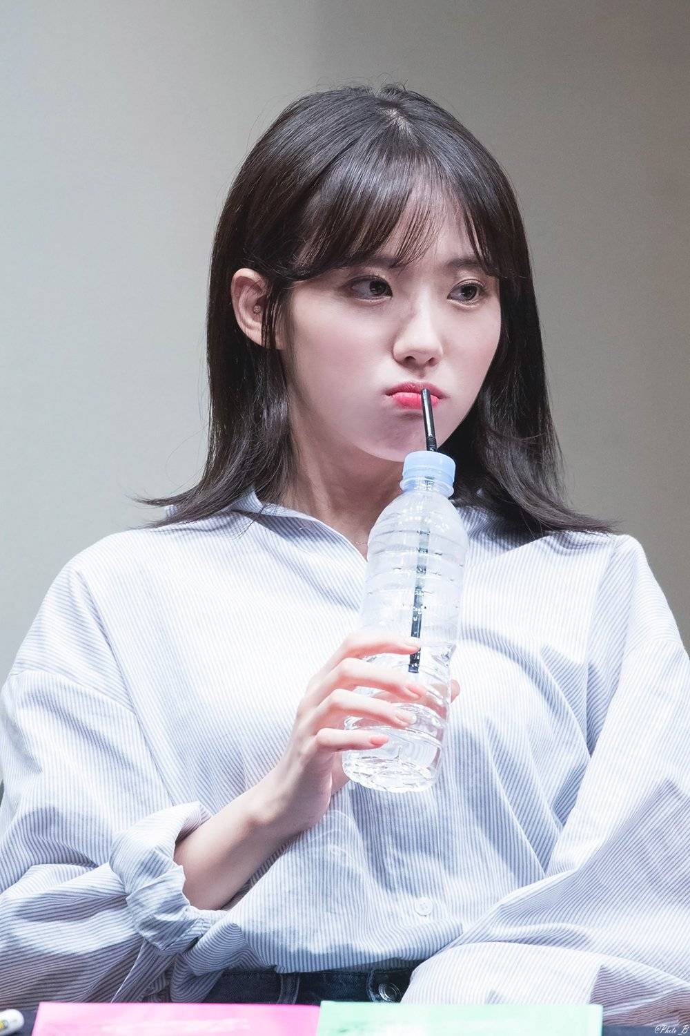 Luda sip | Scrolller