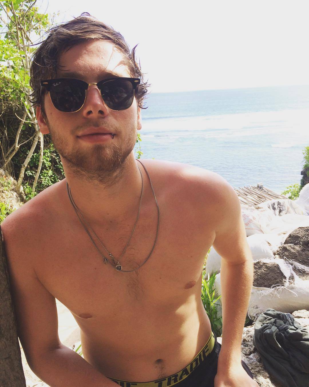 Luke Hemmings - Australian Guitarist, 5SOS | Scrolller