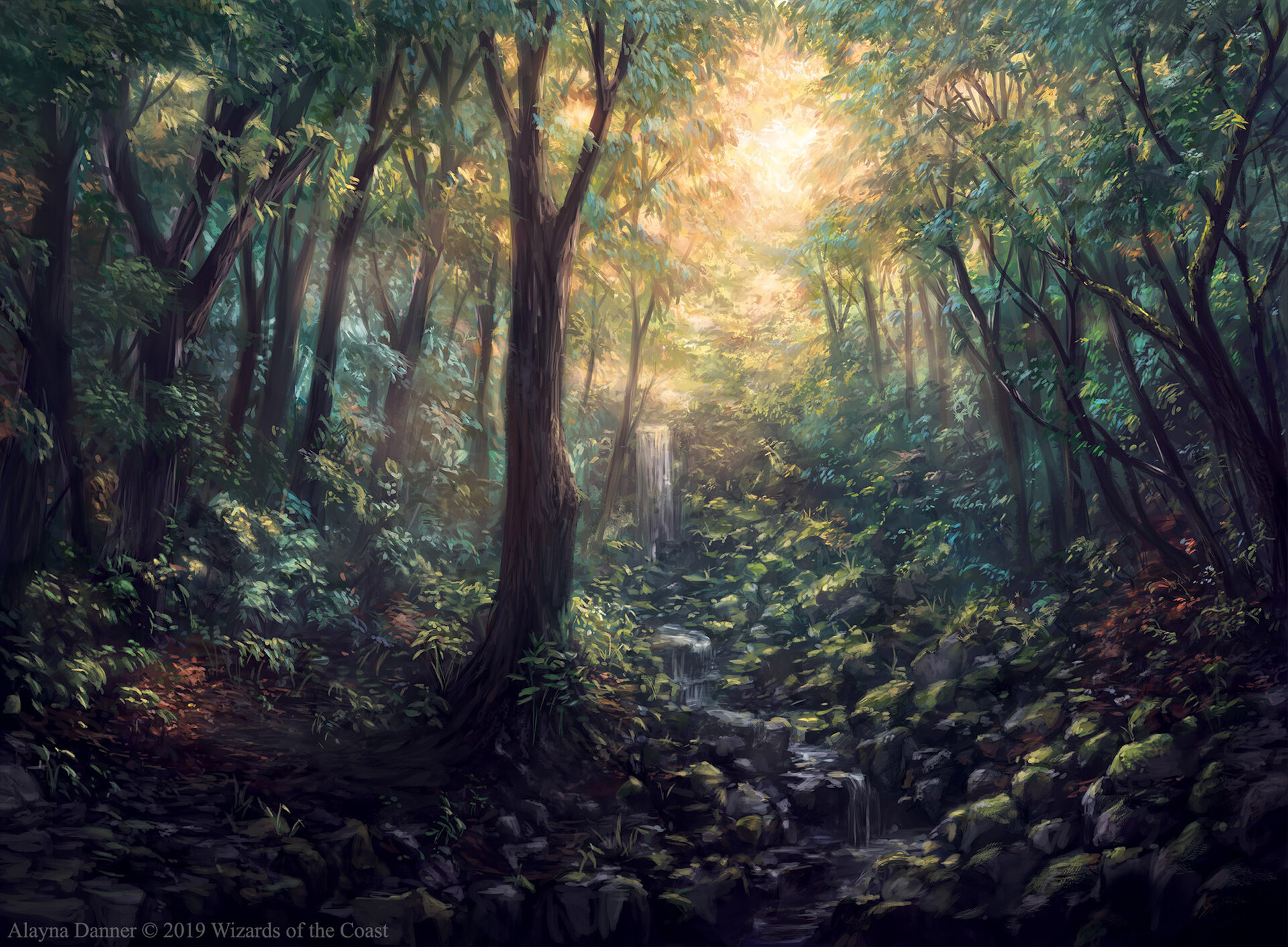 M20 Promo Forest by Alayna Lemmer-Danner | Scrolller