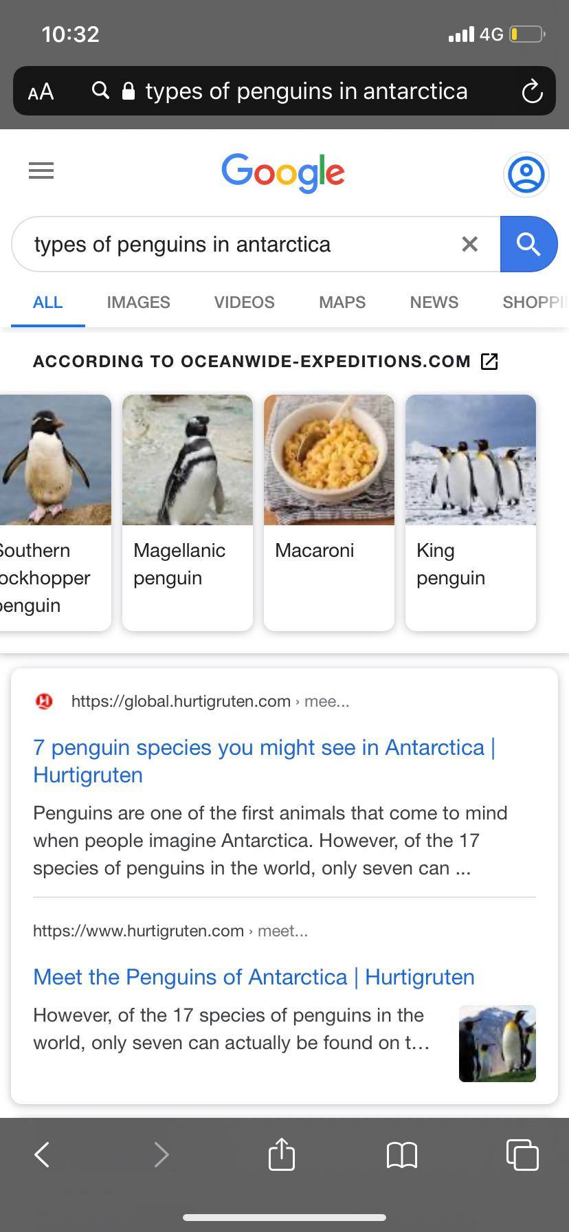 Macaroni | Scrolller