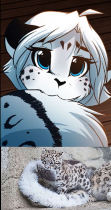 Maeve compared to real mountain lions | Scrolller