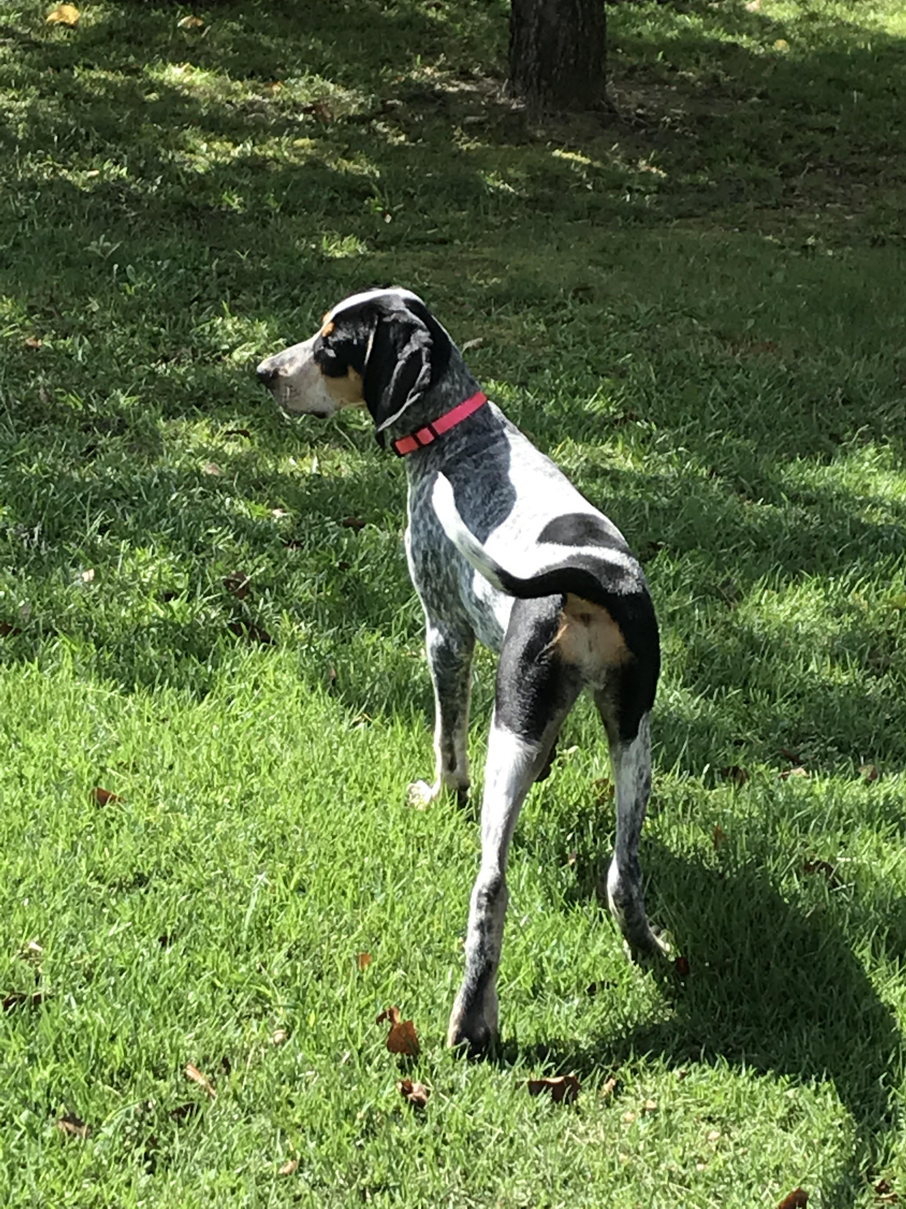 Maggie’s getting bigger everyday! | Scrolller