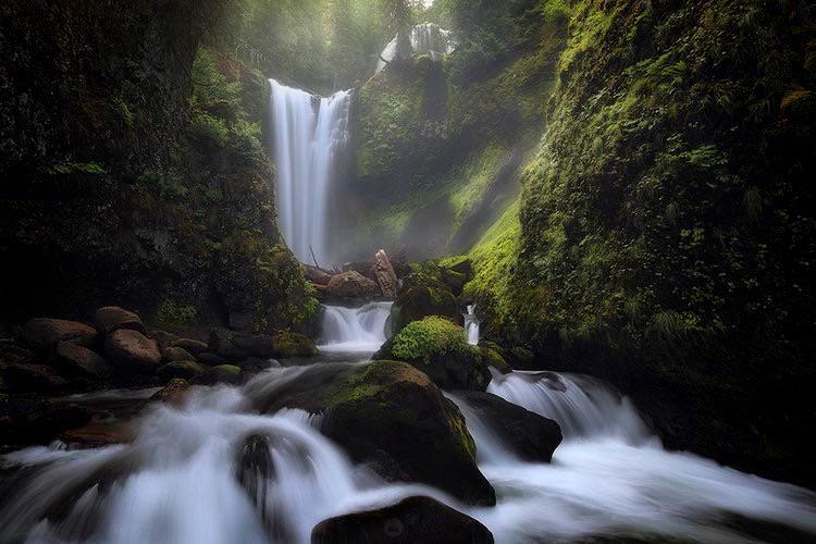 Magical waterfall nestled in the Gifford Pinchot National Forest, WA [OC] 750x500 | Scrolller