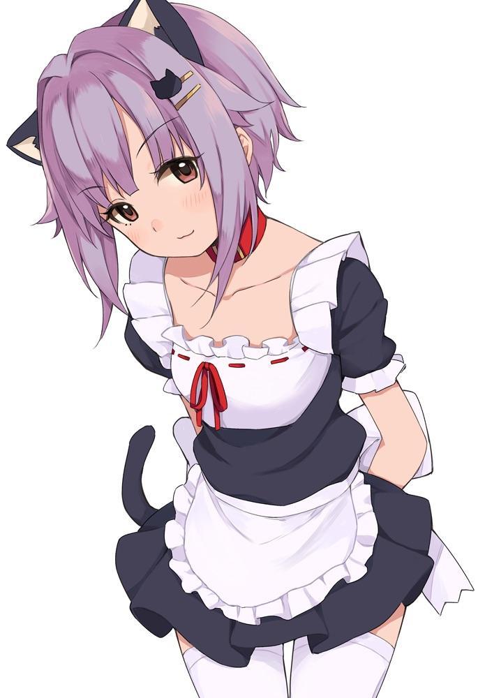 Maid | Scrolller
