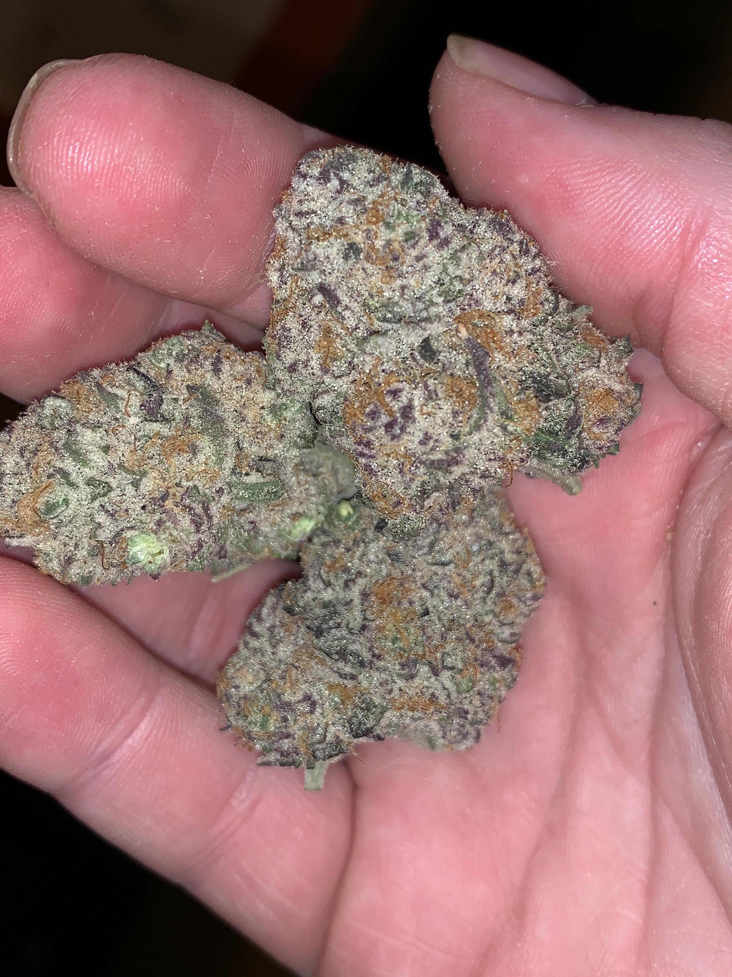 Maine Grown. | Scrolller