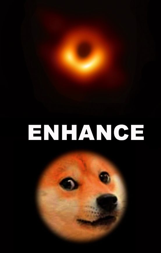 major discovery - black doge! | Scrolller