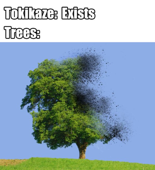 Make like a tree... | Scrolller