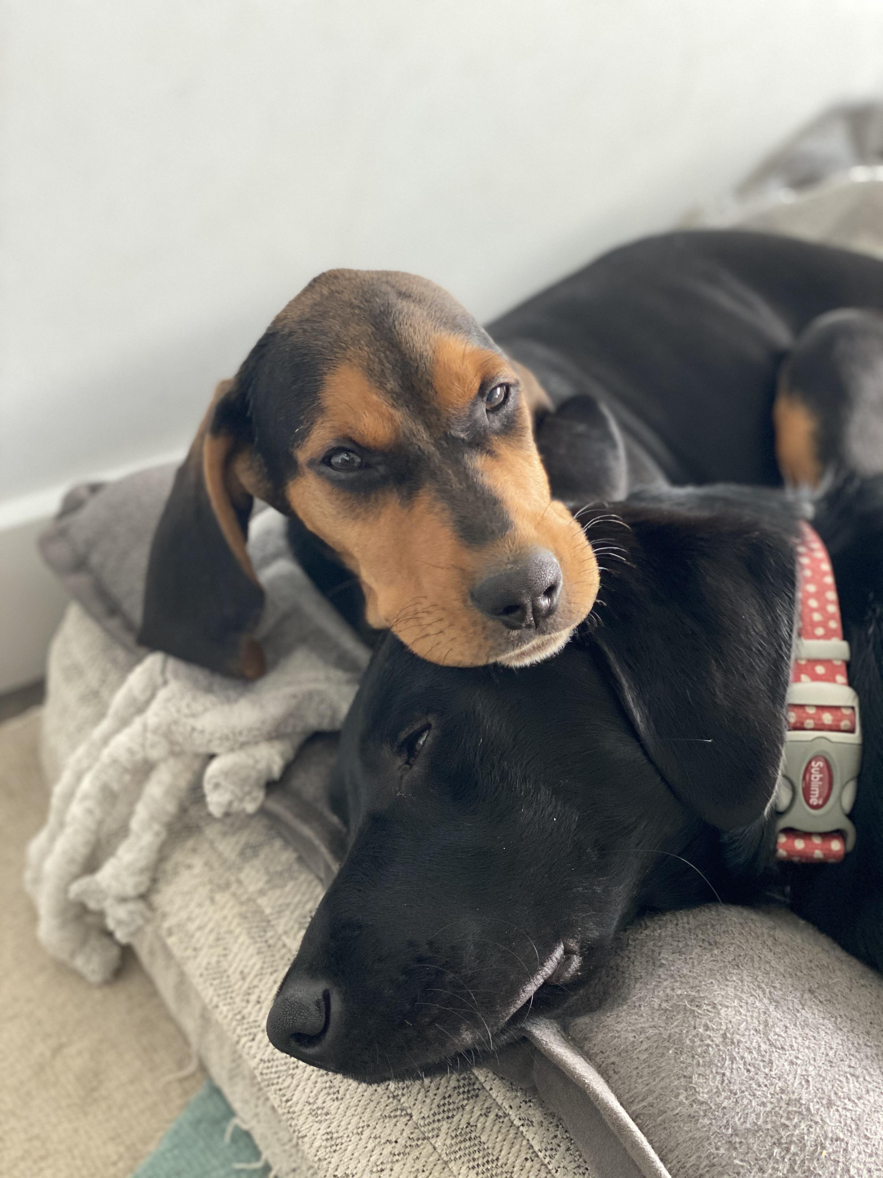 Making progress! | Scrolller