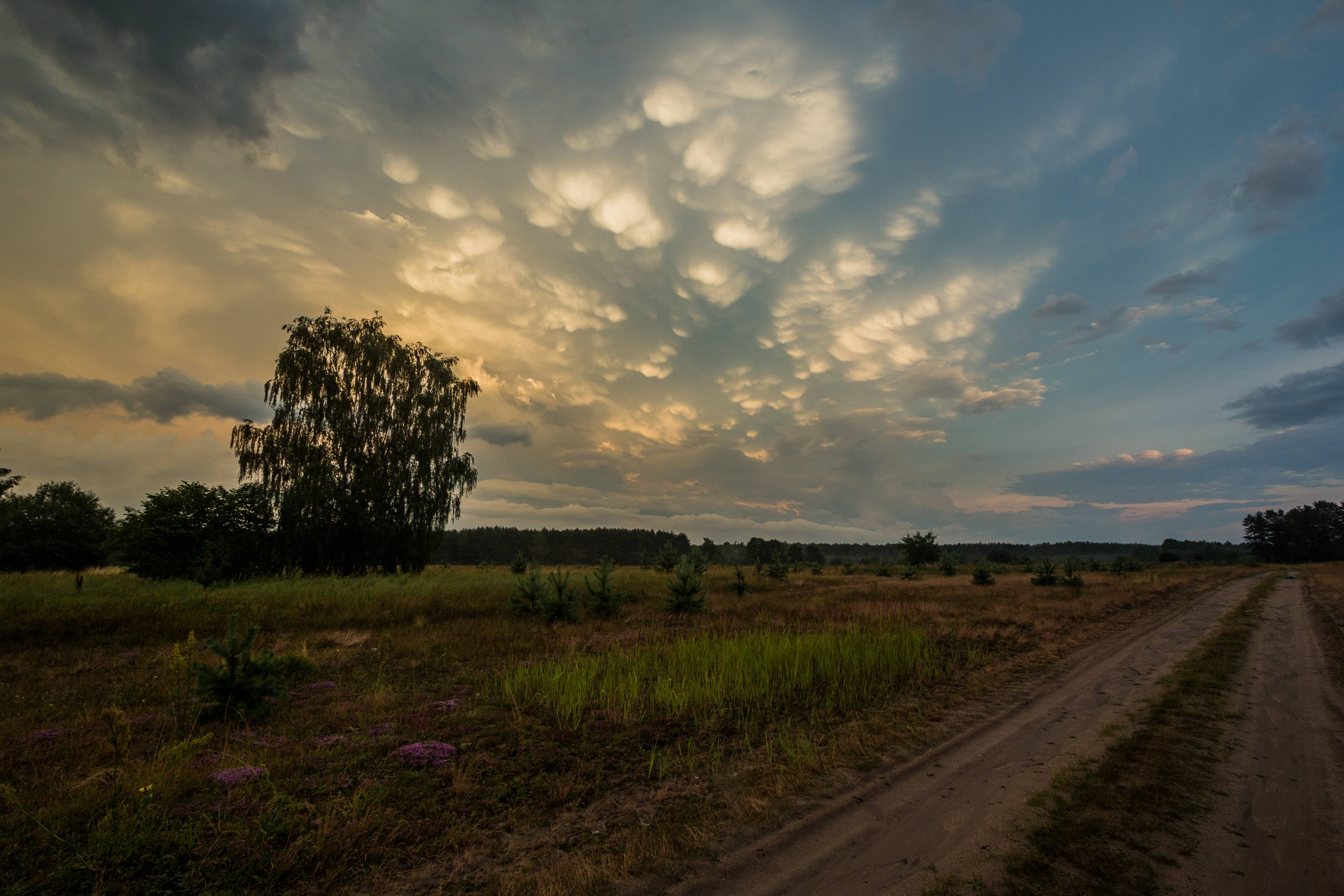 Mammatus, Zubačy, Belarus [OC] [5006 × 3337] | Scrolller
