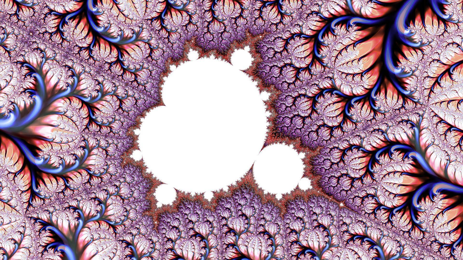 Mandelbrot Zoom [1920x1080] [OC] | Scrolller