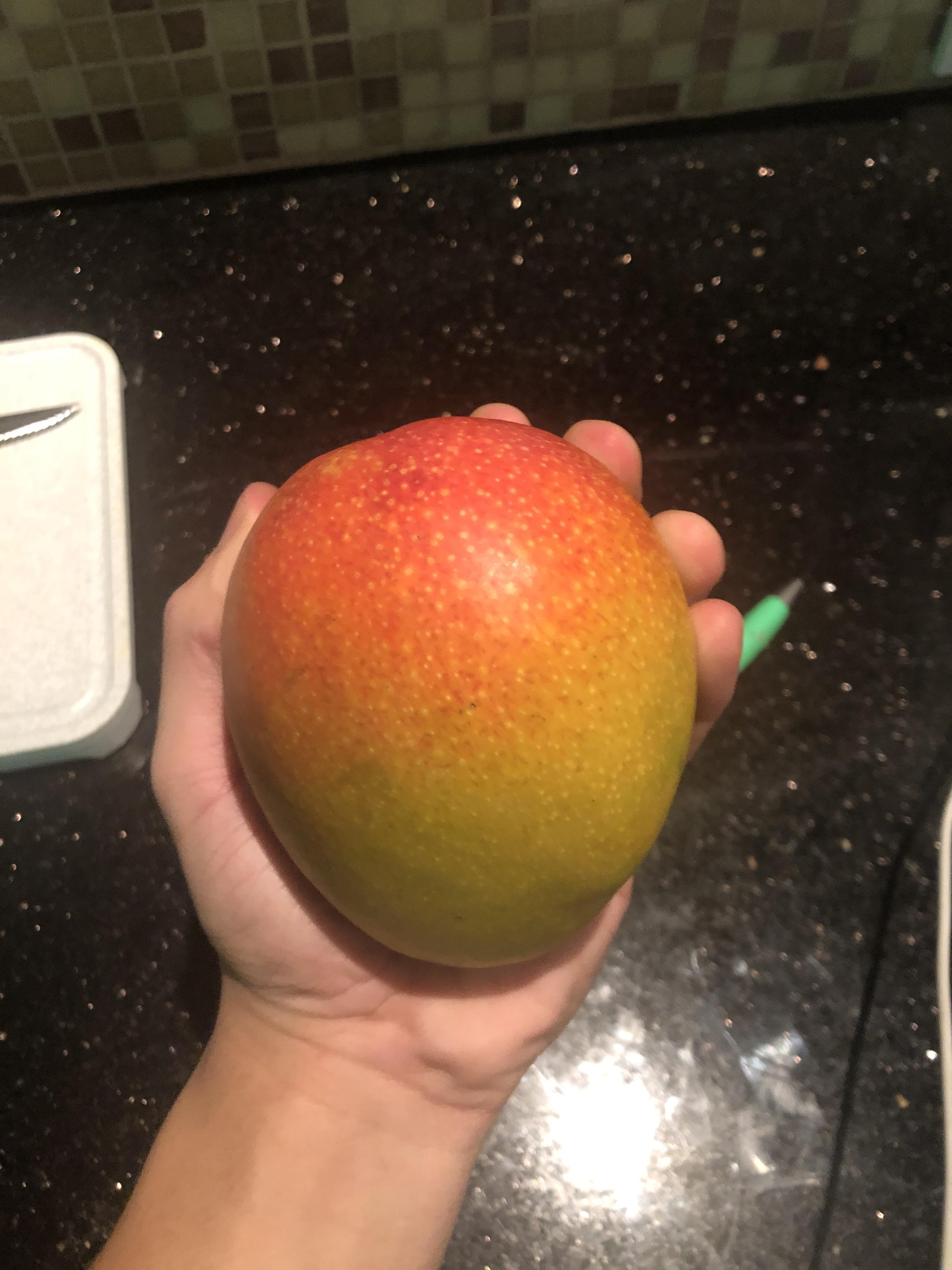 Mango fresh from the tree | Scrolller