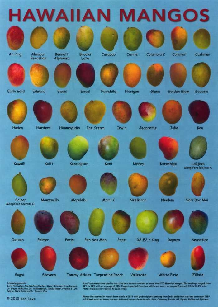 Mangoes of Hawaii | Scrolller