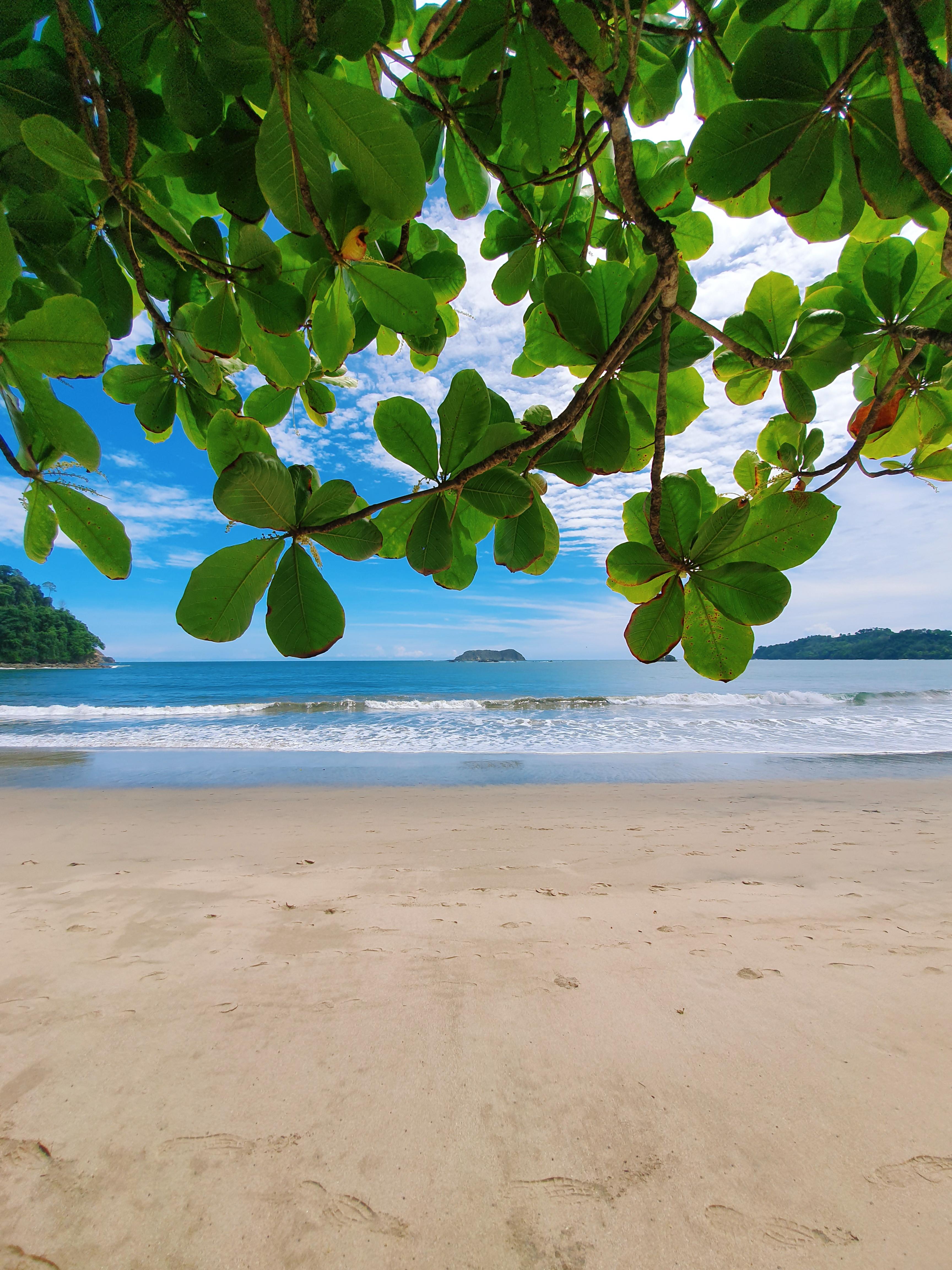 Manuel Antonio National Park, Costa Rica [OC] [3456x4608] | Scrolller