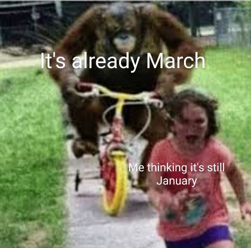 March 2019 | Scrolller