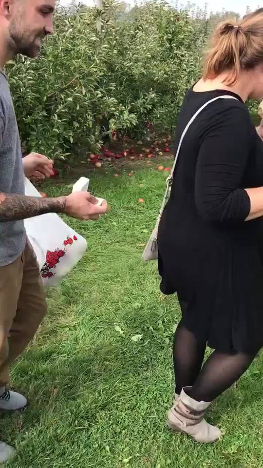 Marriage Proposal | Scrolller