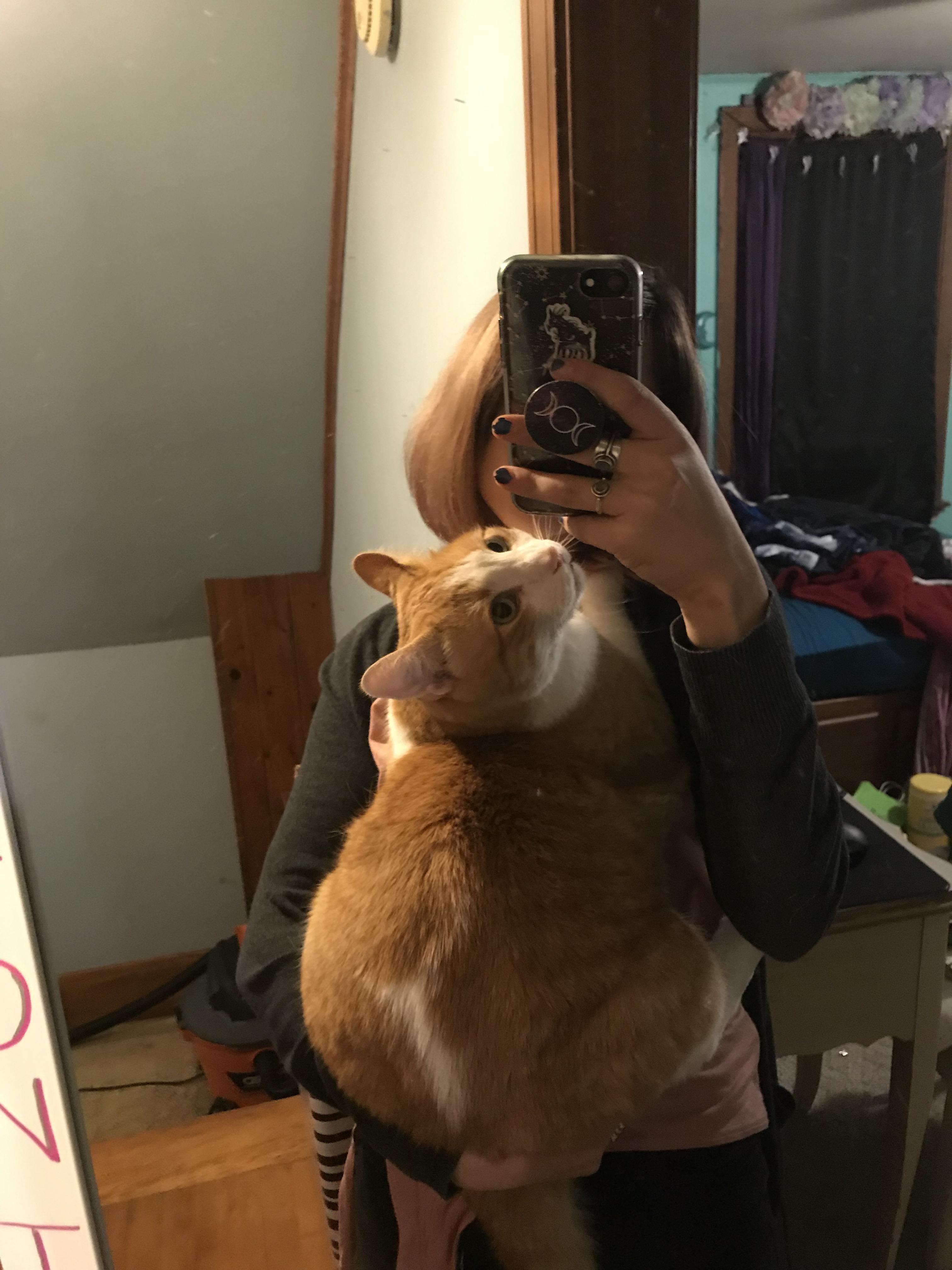 Massive chonk being cuddly | Scrolller