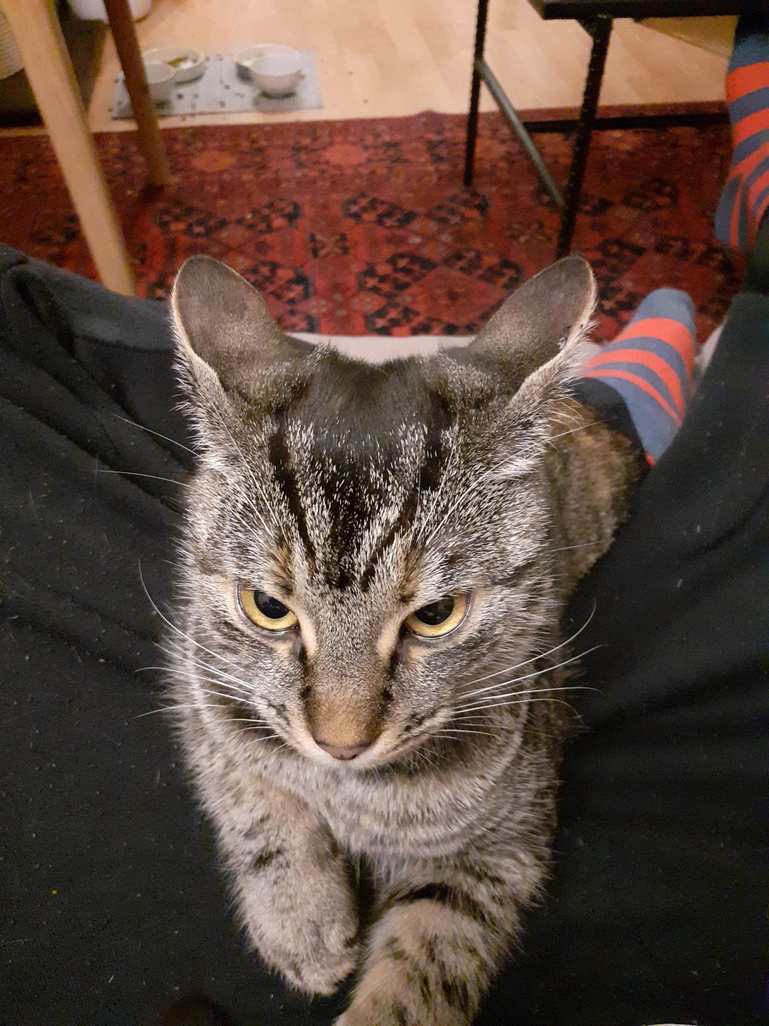 Maximum aerodynamics | Scrolller