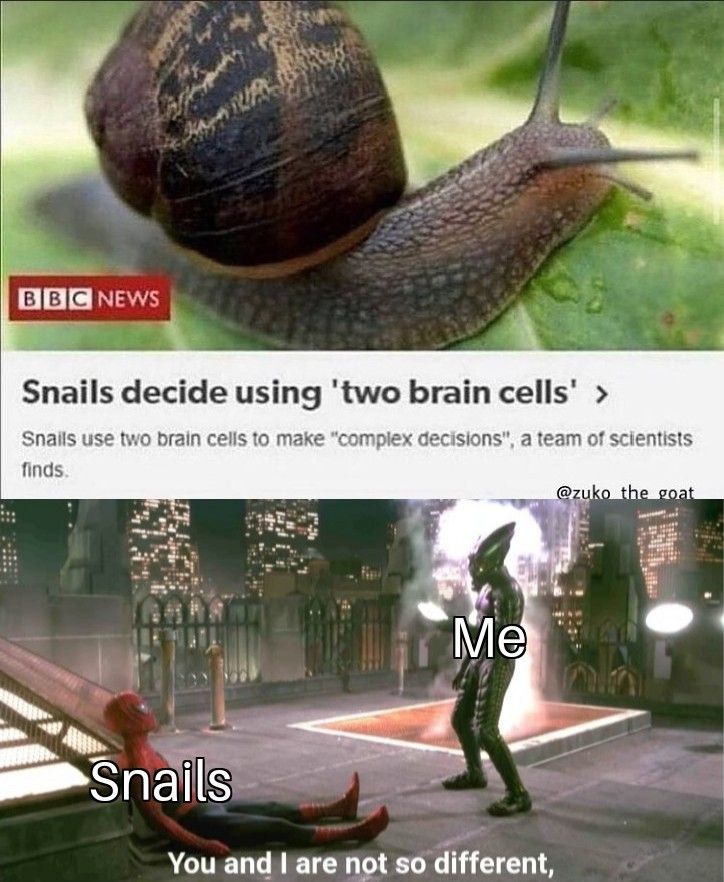Maybe I am a *snail* | Scrolller