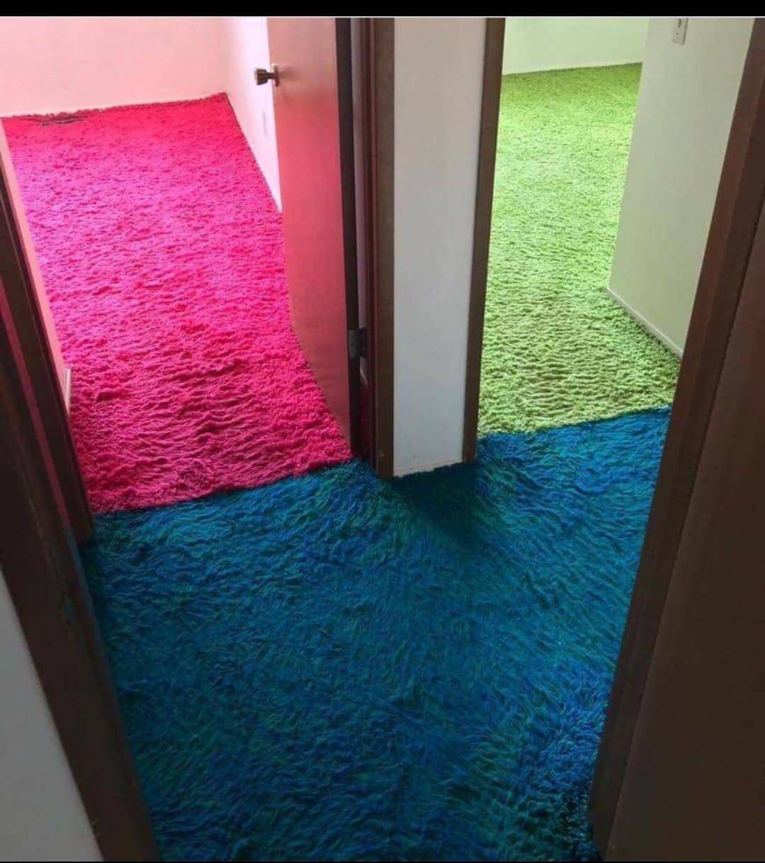 This is disgusting. | Scrolller