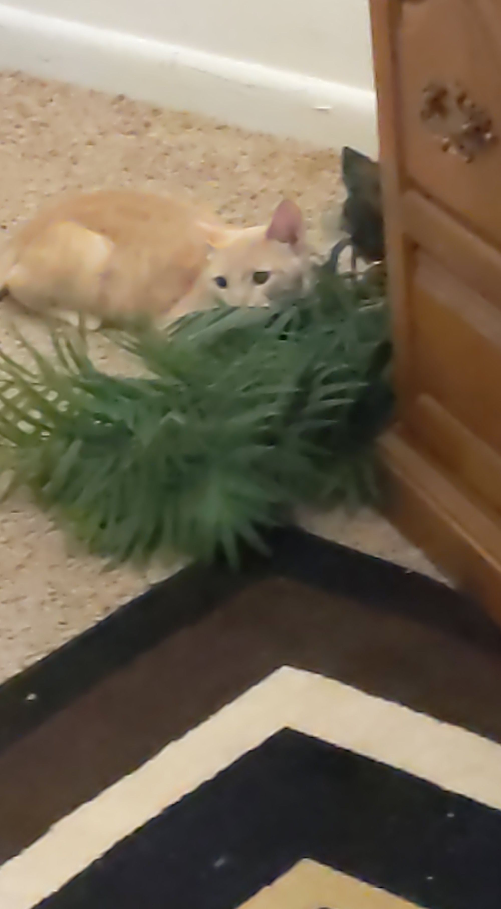 Me playing a stealth mission. | Scrolller