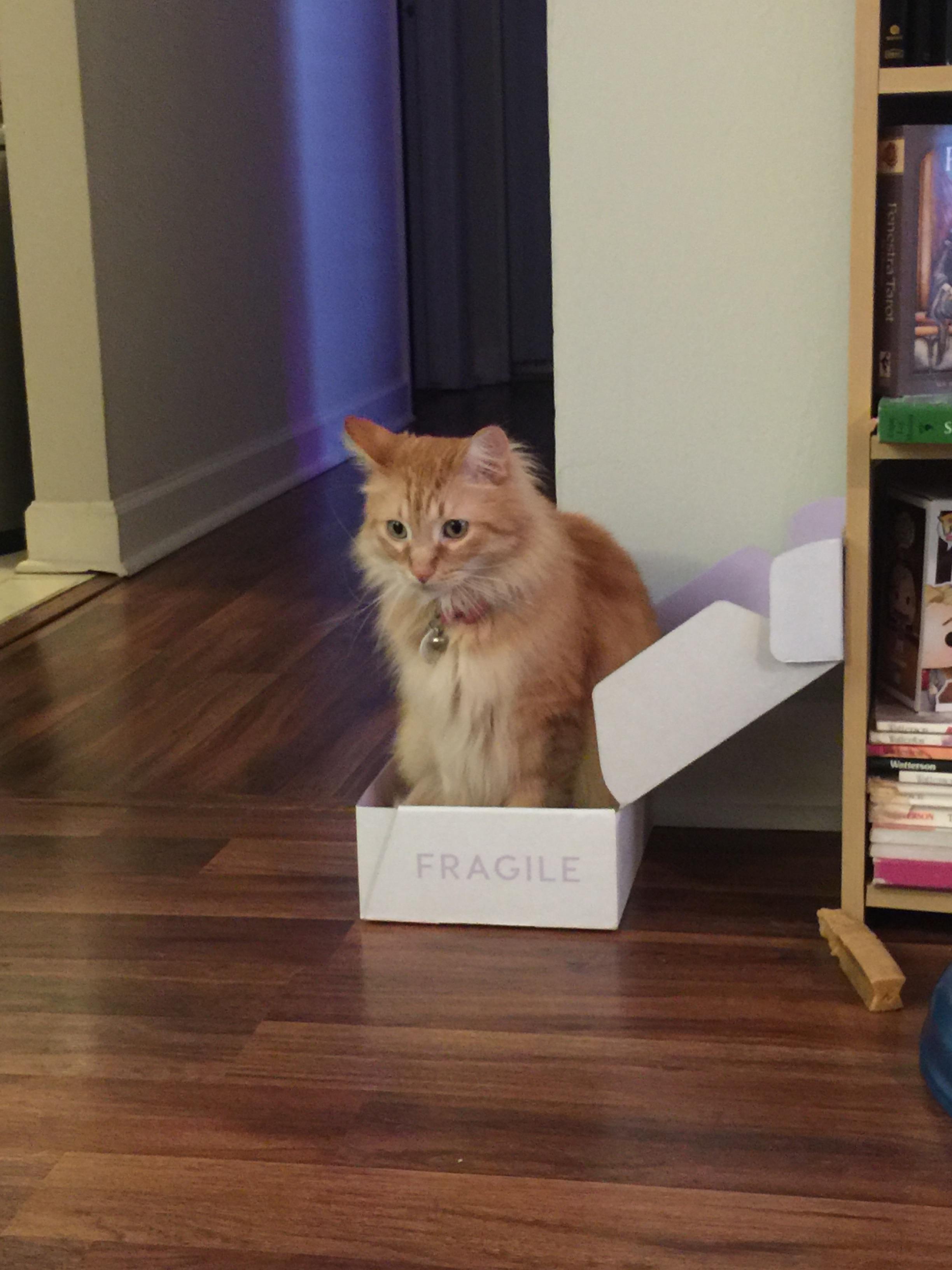 Tight and fragile: a dangerous mix. | Scrolller