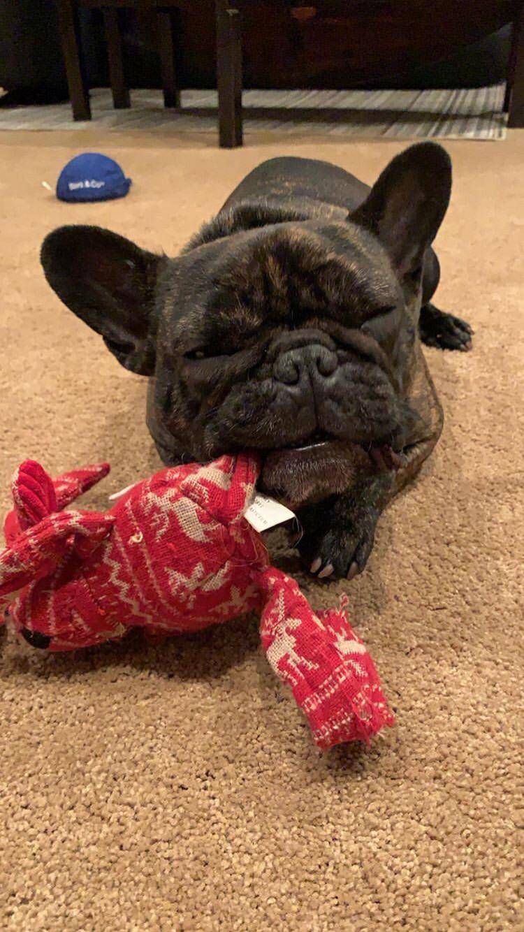 Meet blu | Scrolller