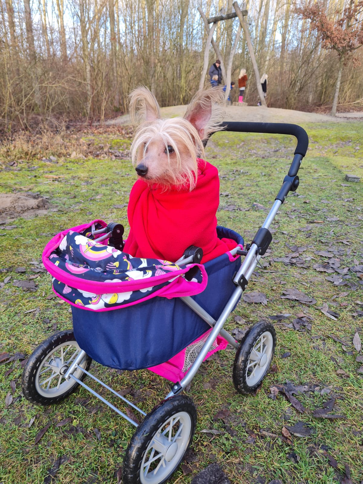 Meet Gremlin | Scrolller