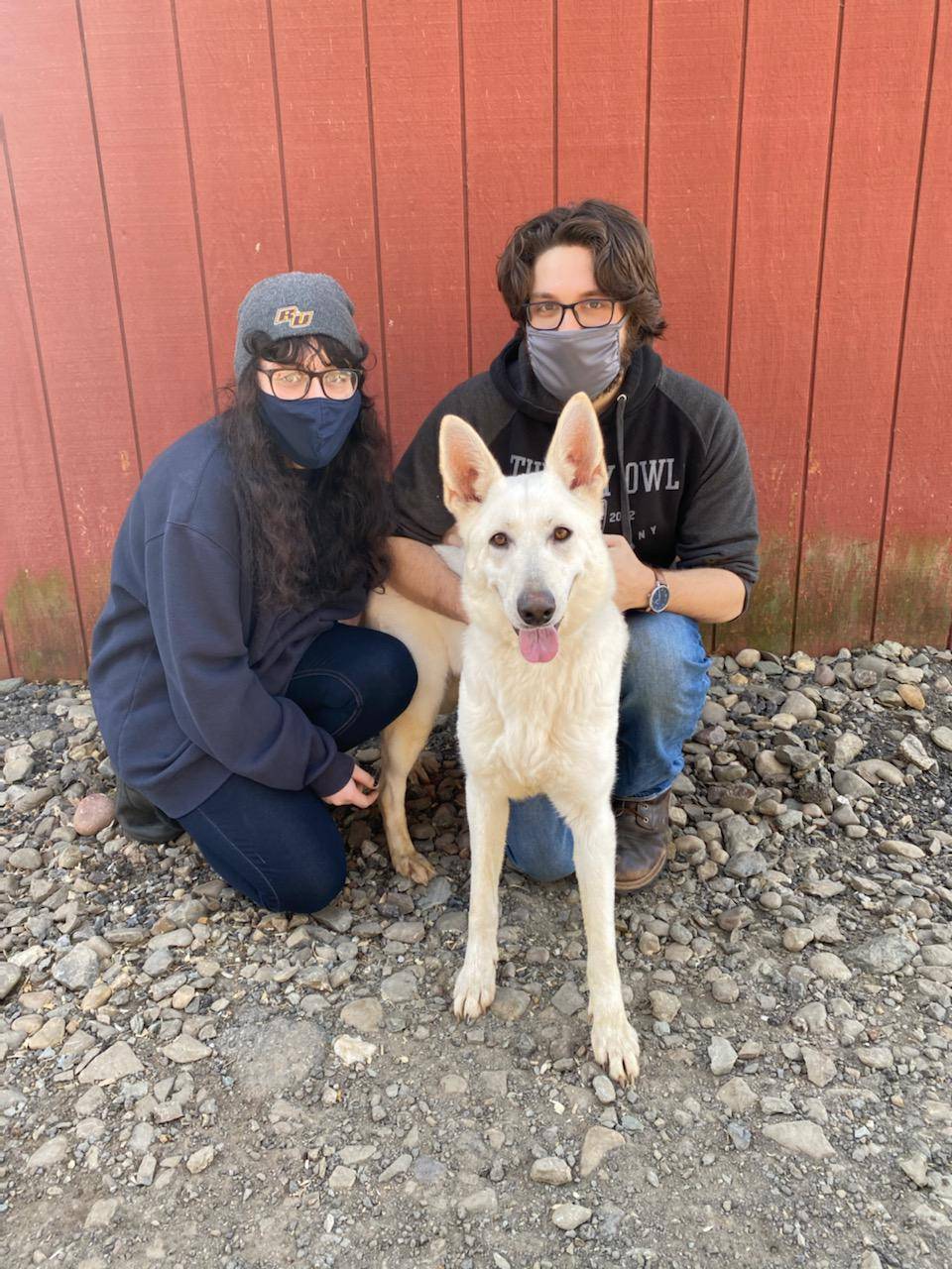 Meet Lacey, our rescue dog! | Scrolller