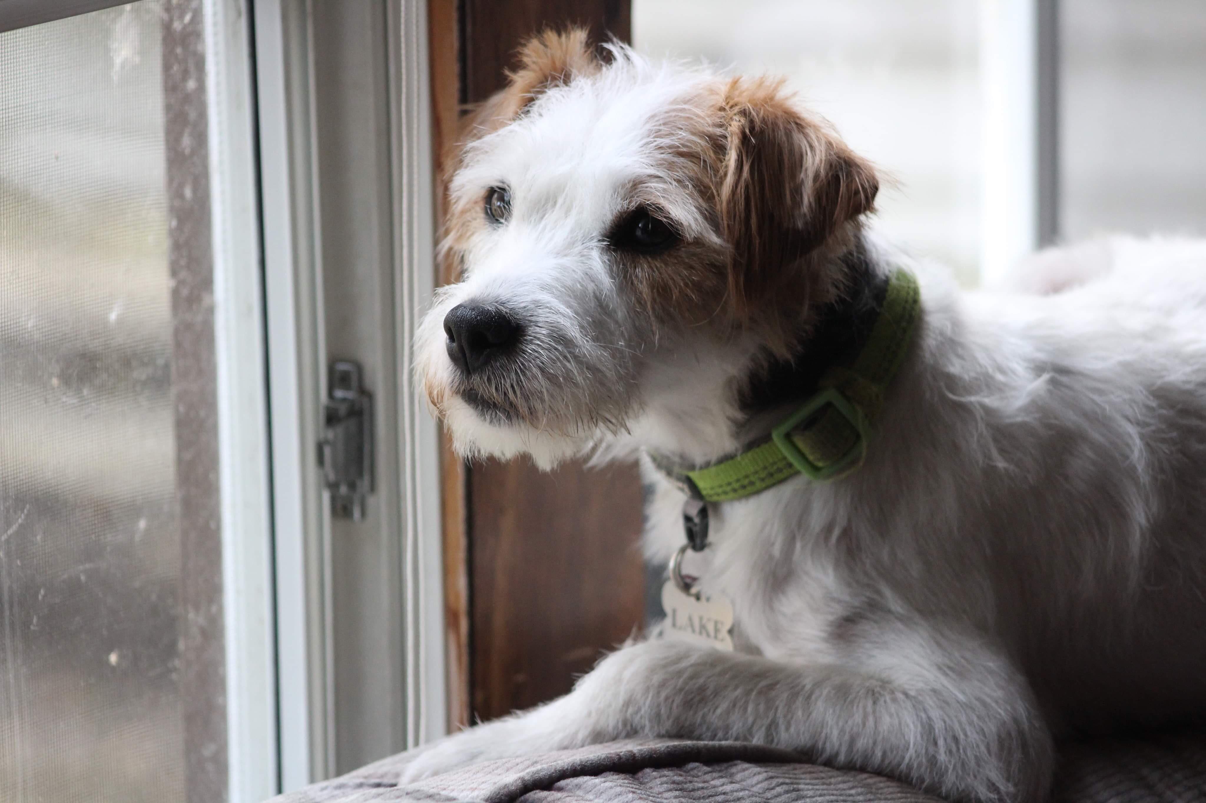 Meet Lake | Scrolller