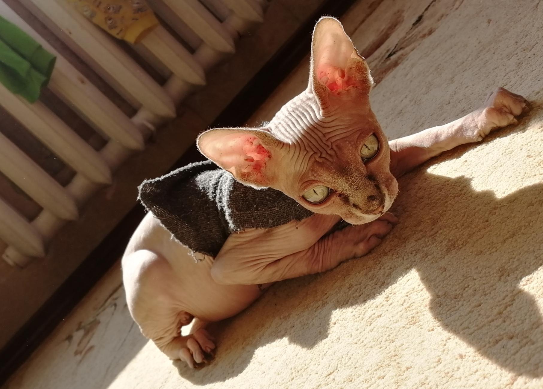 Meet Mars | Scrolller