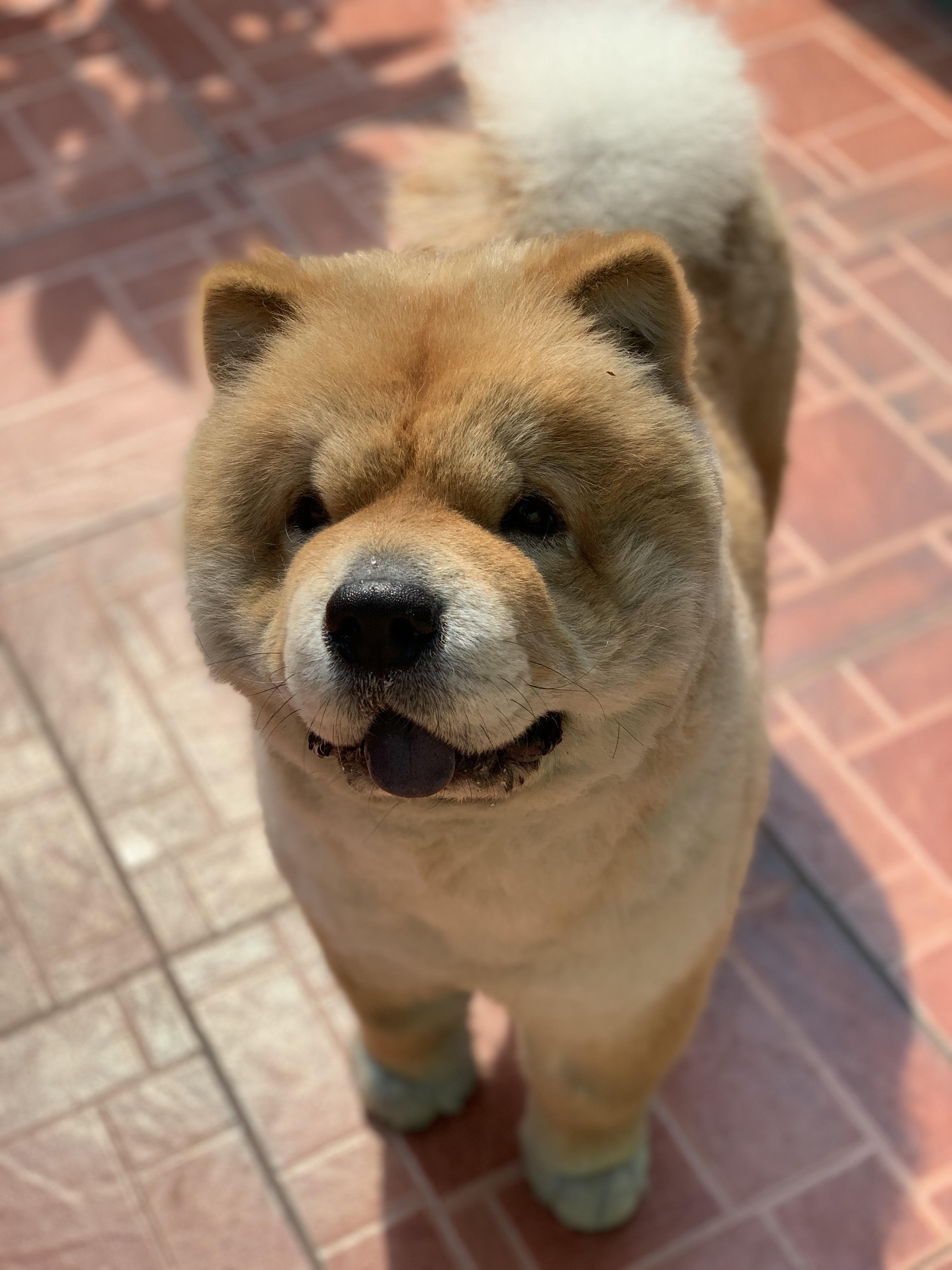 Meet my handsome baby boy!! | Scrolller